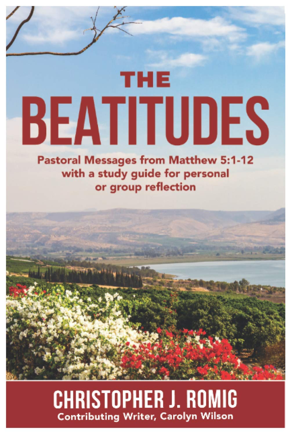 The Beatitudes: Pastoral Messages from Matthew 5:1-12 With Study Guide ...