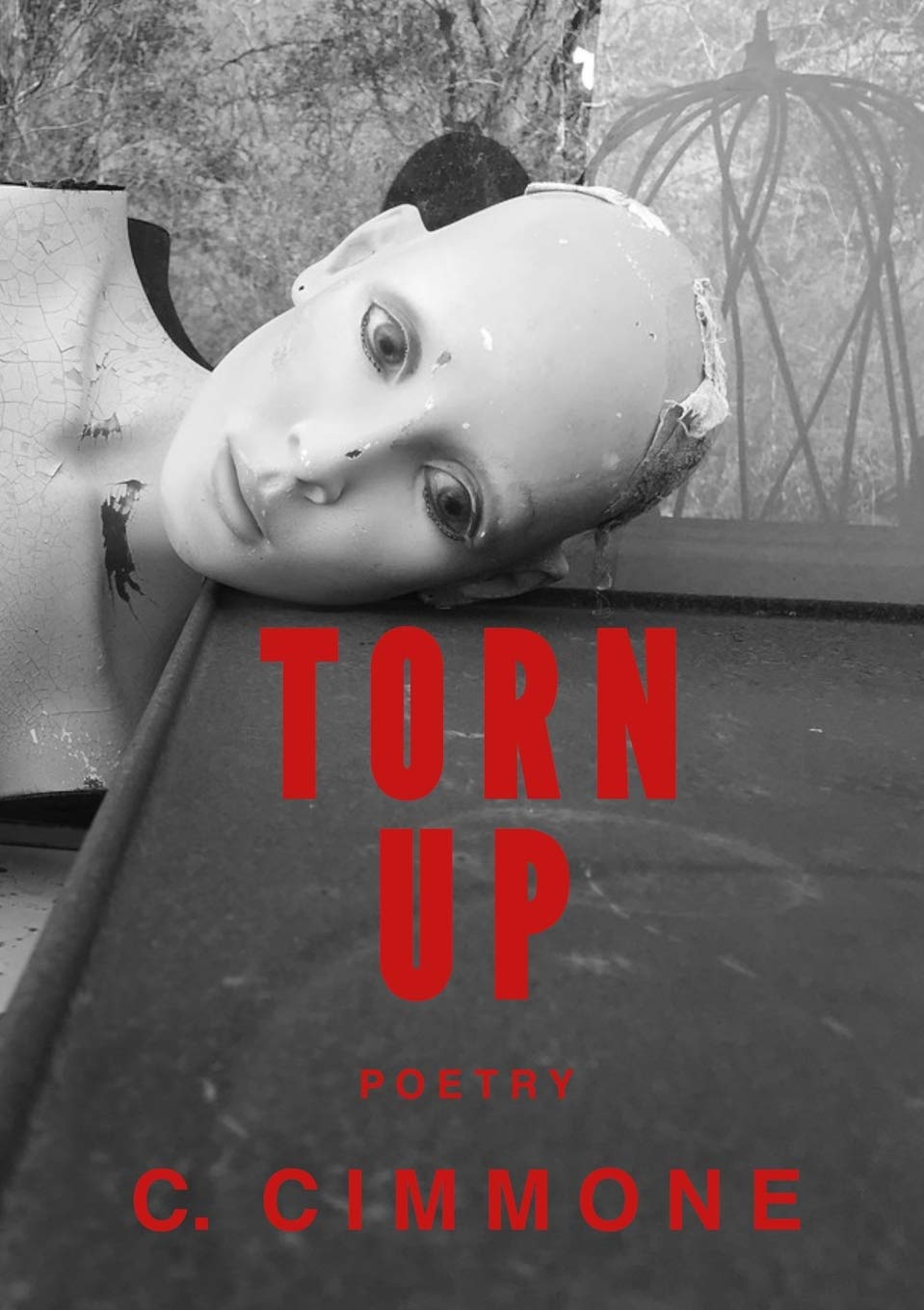 TORN UP by C. Cimmone | Goodreads
