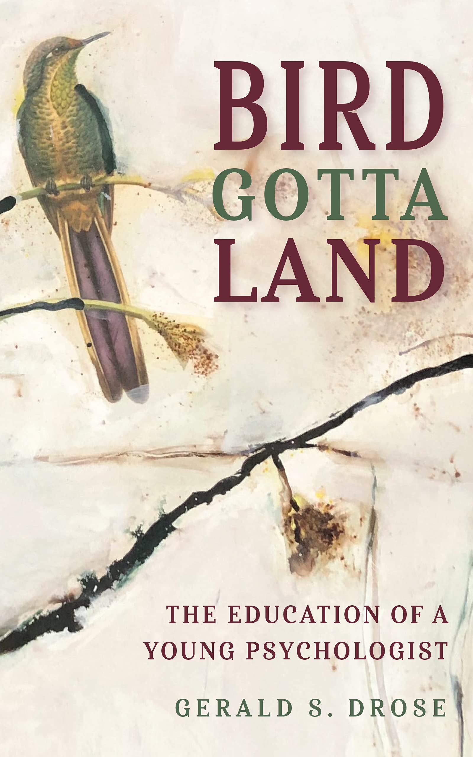 Bird Gotta Land: The Education of a Young Psychologist by Gerald S ...