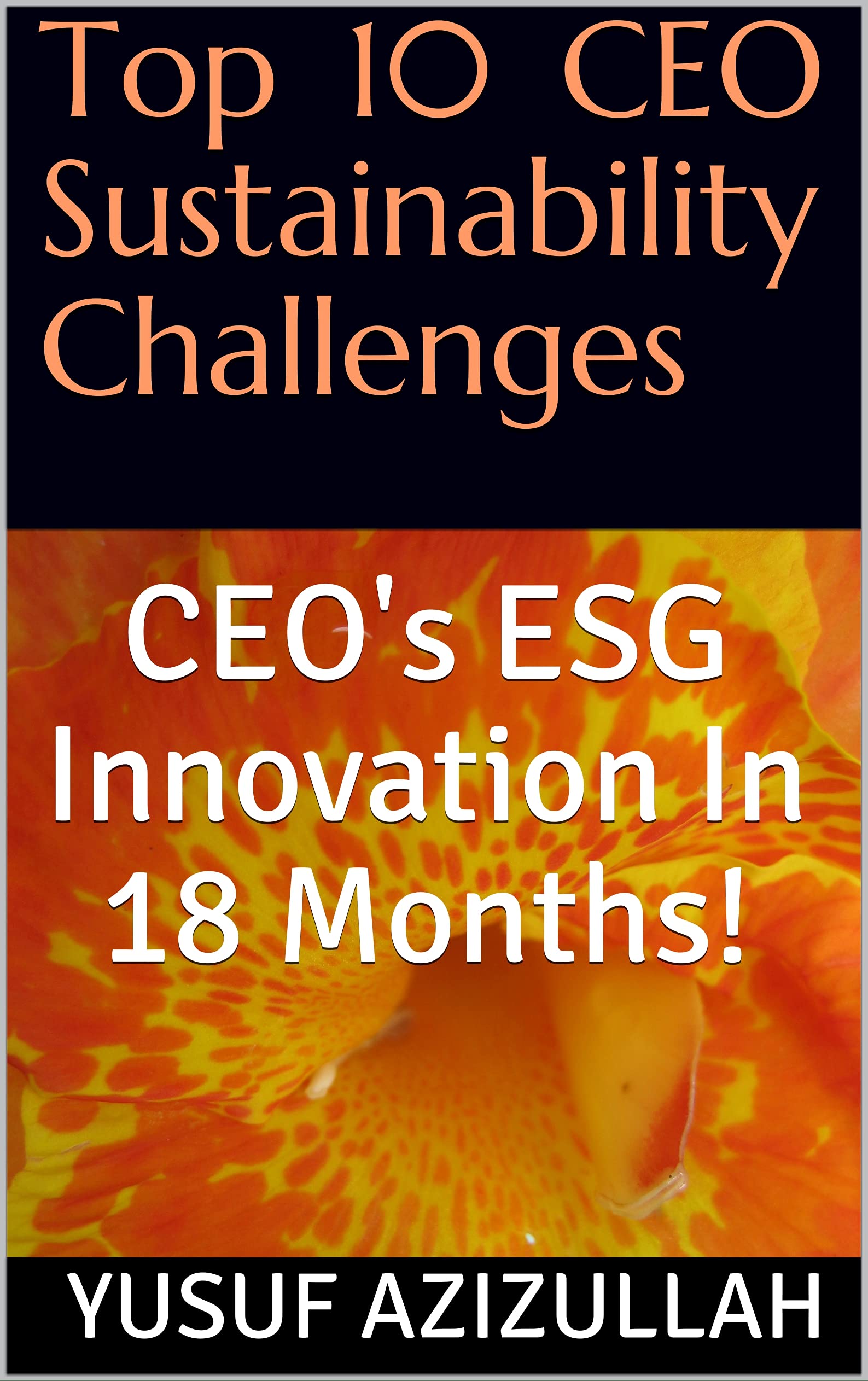 Top 10 CEO Sustainability Challenges: CEO's ESG Innovation In 18 Months ...