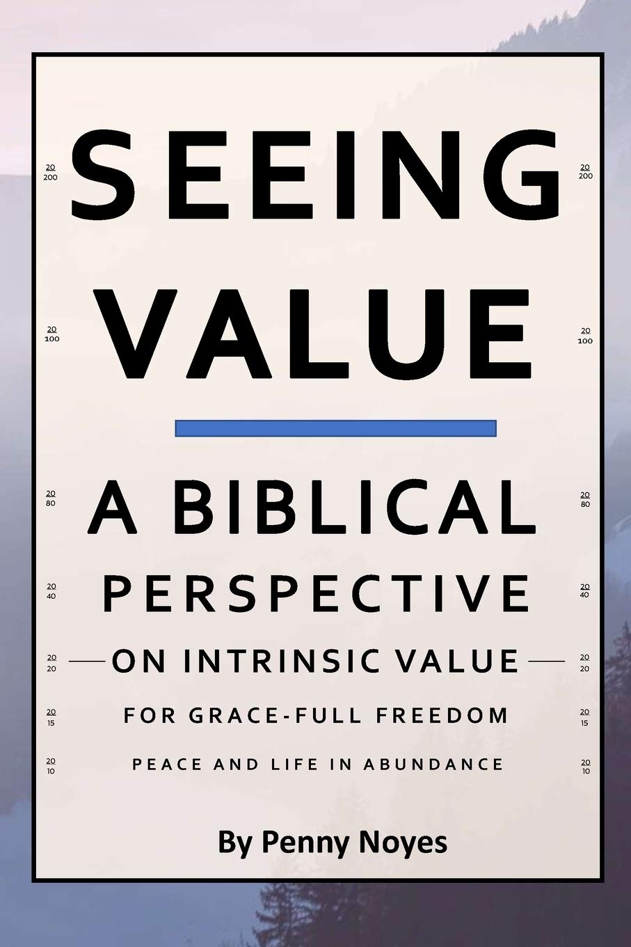 Seeing Value: A Biblical Perspective on Intrinsic Value by Penny Noyes ...