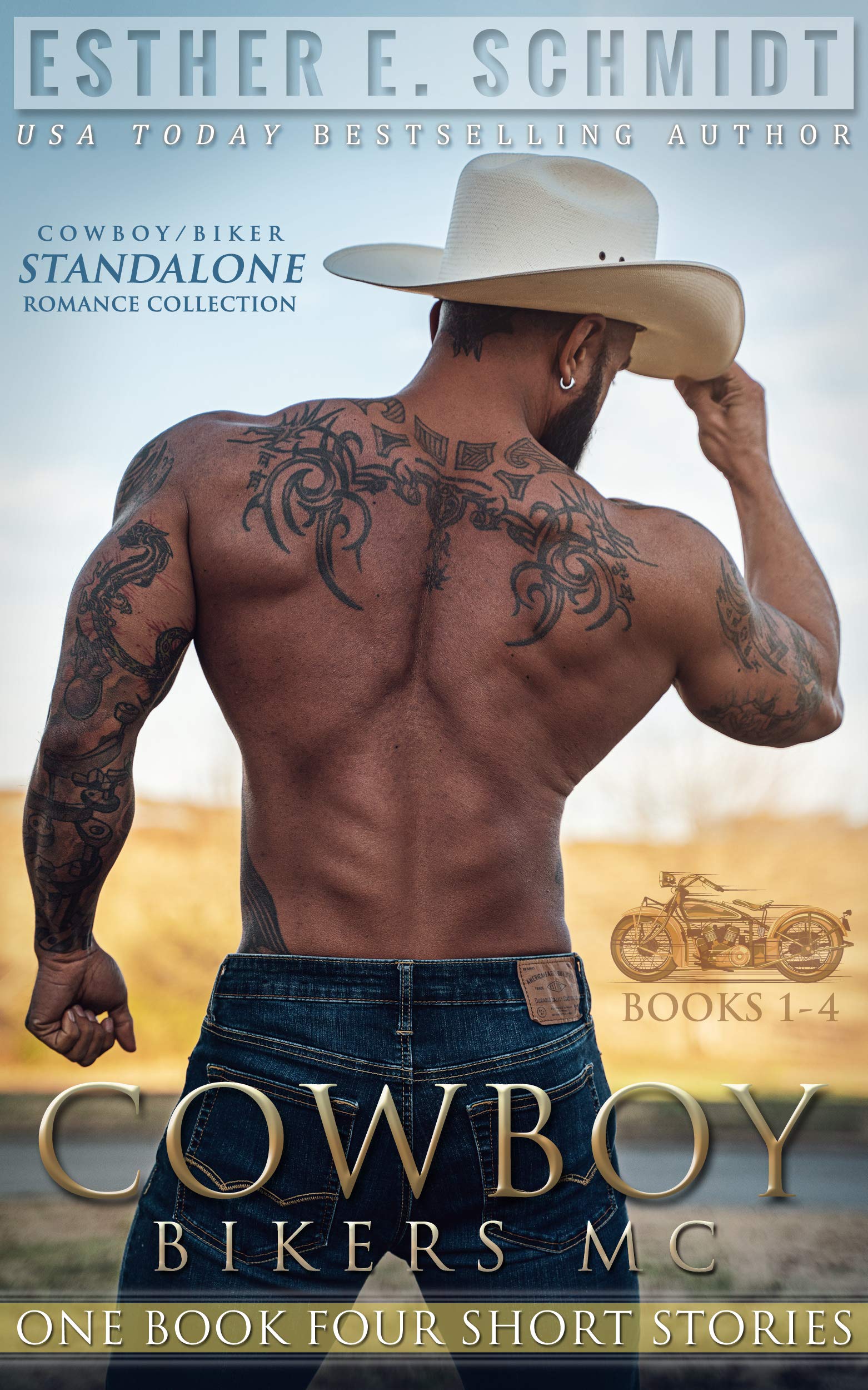 Cowboy Bikers MC: Books 1-4 by Esther E. Schmidt | Goodreads
