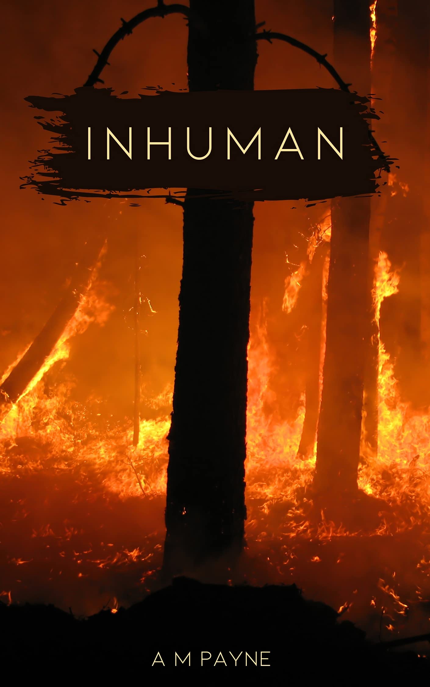 Inhuman (Inhuman #1) by A.M. Payne | Goodreads