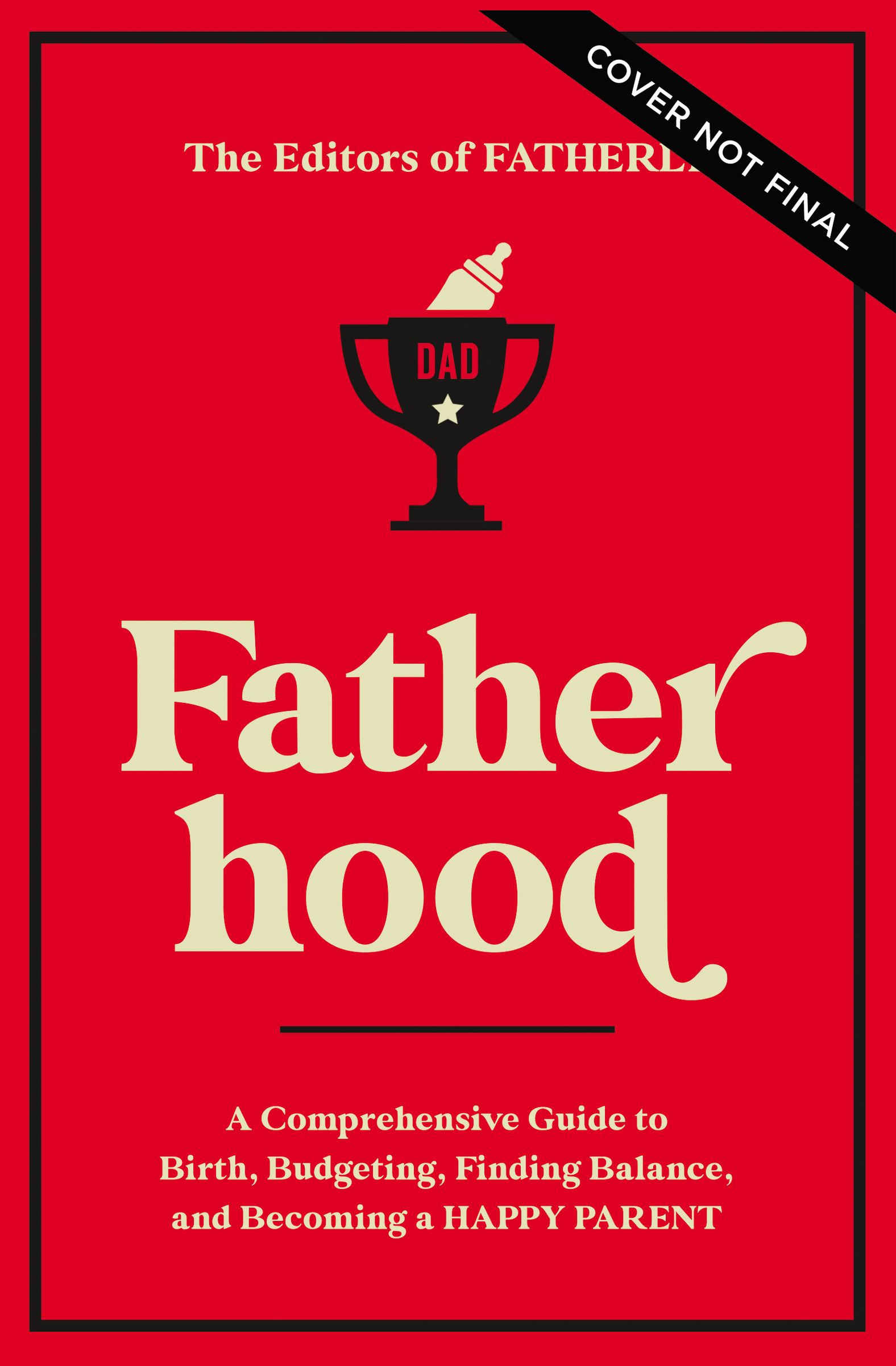 Fatherhood: A Comprehensive Guide to Birth, Budgeting, Finding Flow ...