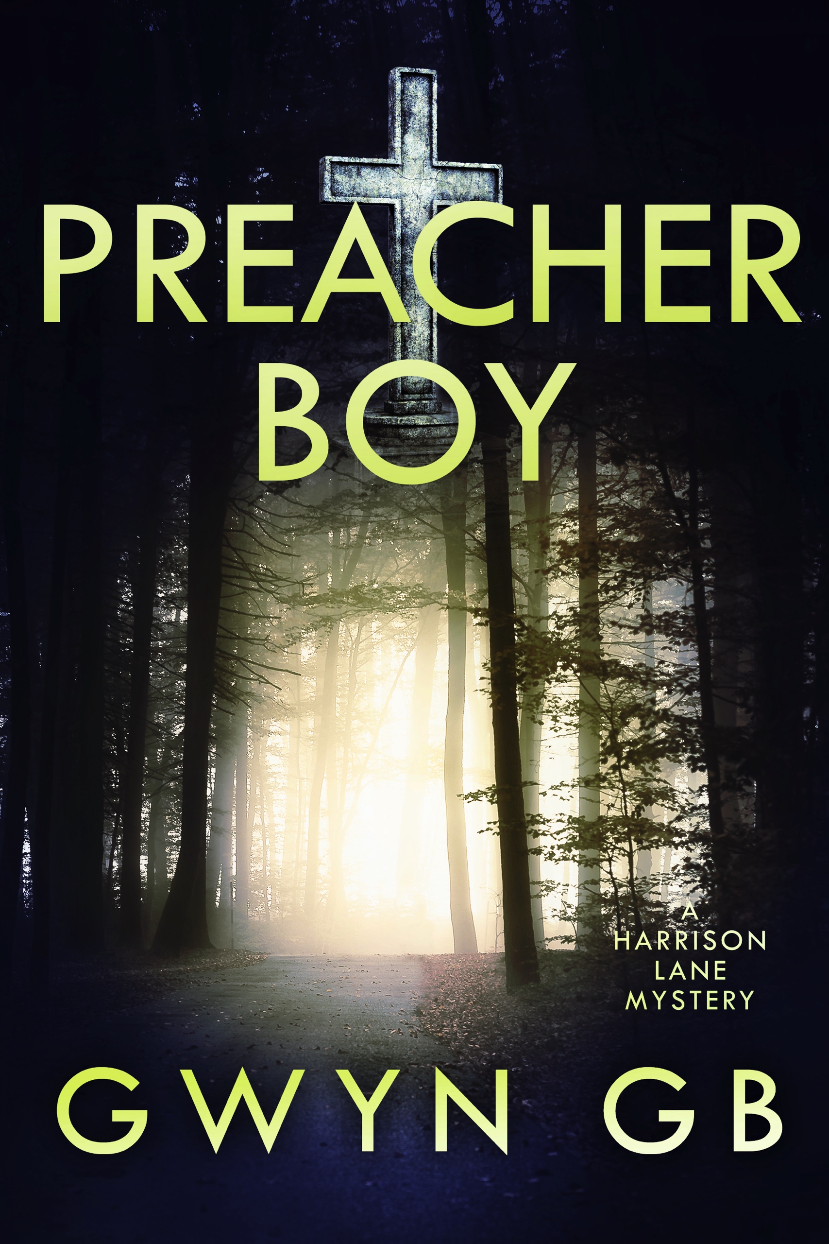 Preacher Boy (Harrison Lane mystery #1) by Gwyn G.B. | Goodreads