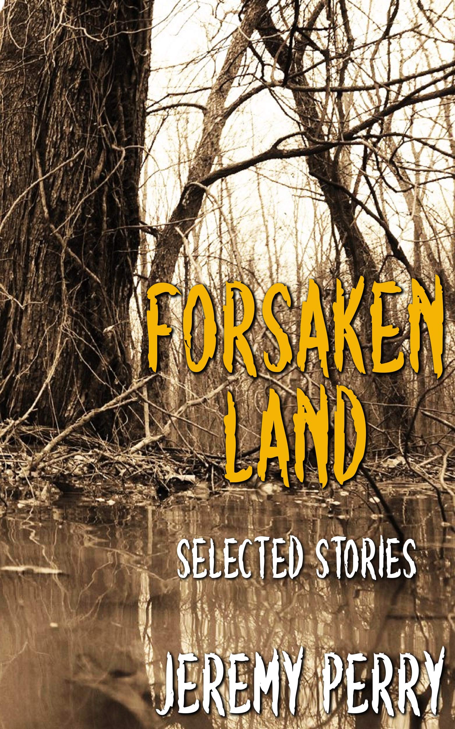 Forsaken Land: Selected Stories by Jeremy Perry | Goodreads