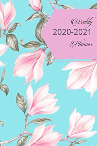 2020-2021 Weekly Planner: 2020-2021 Two Year Weekly Planner, 24 Months ...