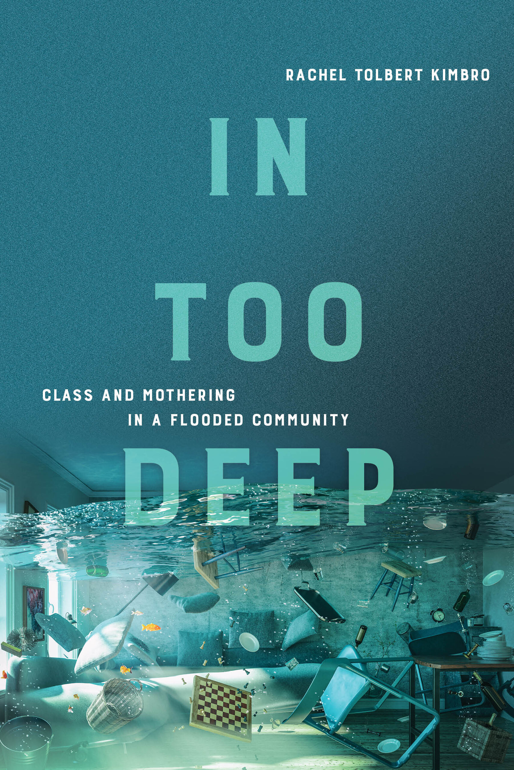 In Too Deep: Class and Mothering in a Flooded Community by Rachel ...
