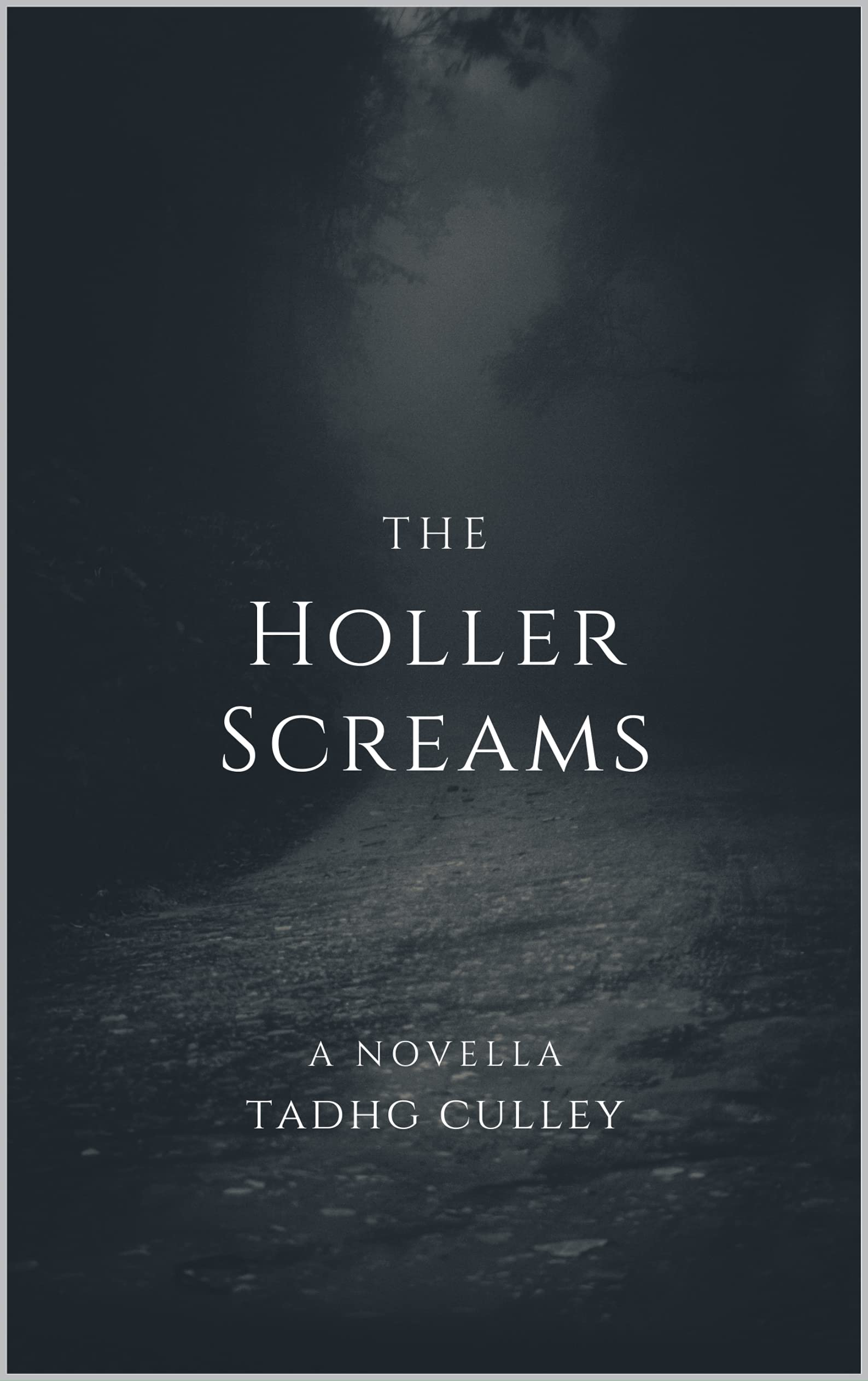 The Holler Screams: A Novella by Tadhg Culley | Goodreads