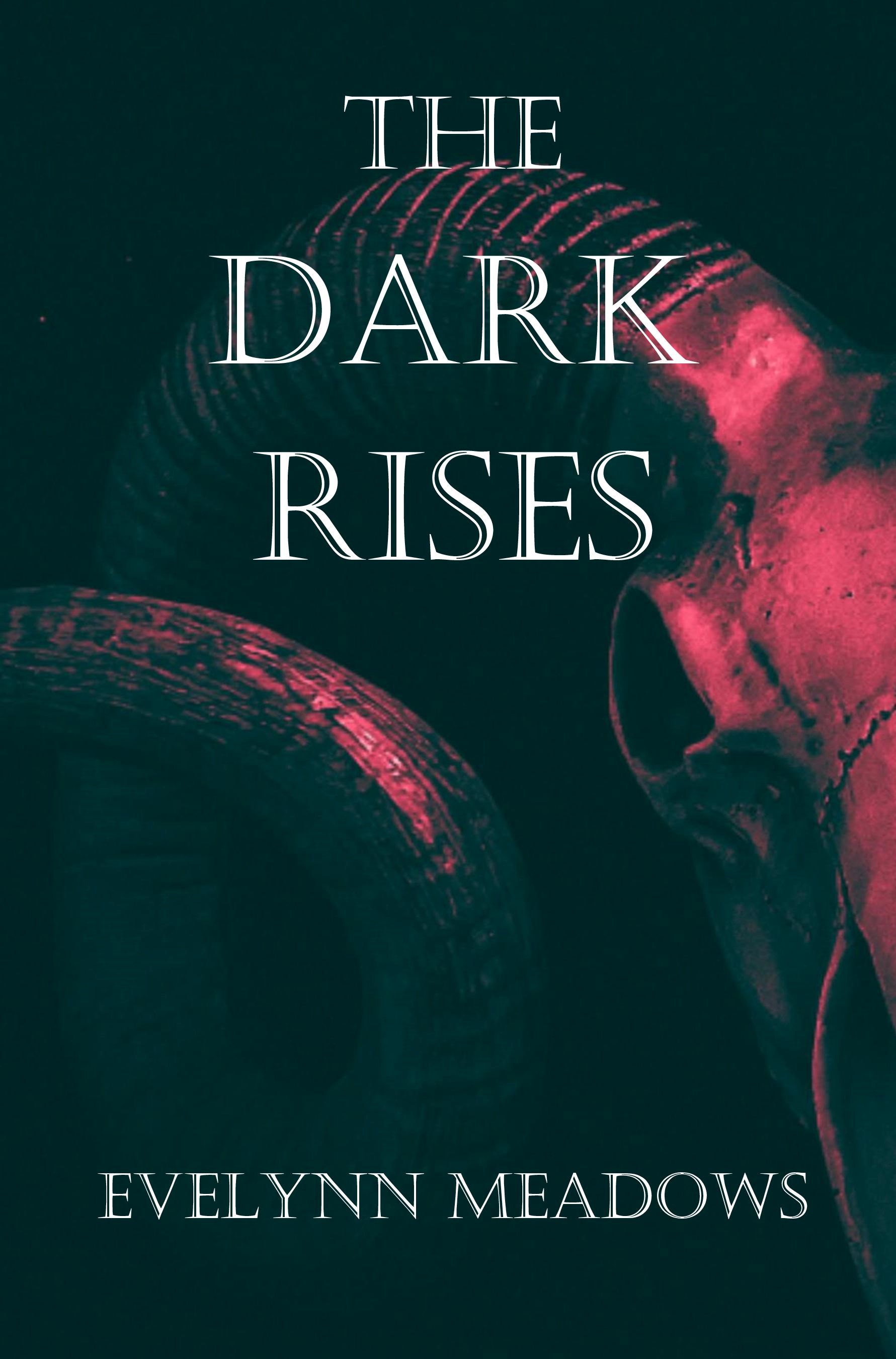 The Dark Rises (Book #1) by Evelynn Meadows | Goodreads