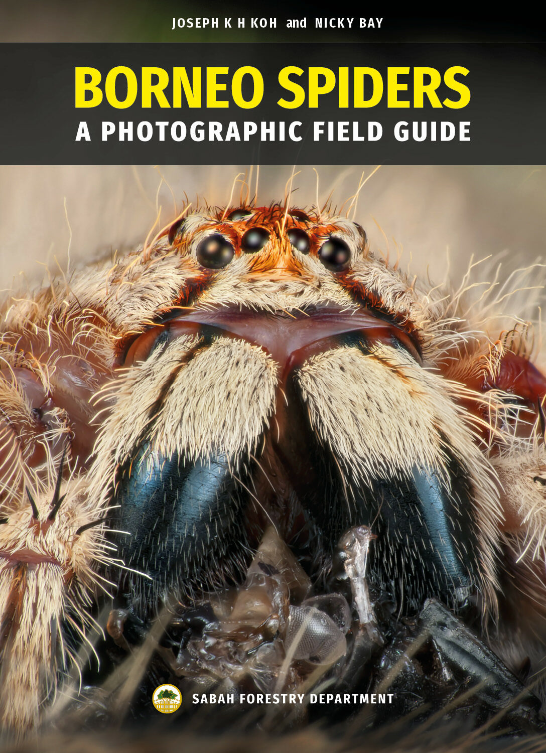 Borneo Spiders: A Photographic Field Guide by Joseph Koh | Goodreads