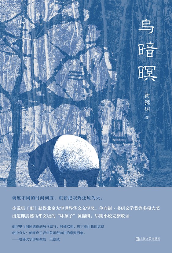 乌暗暝 by Ng Kim Chew | Goodreads