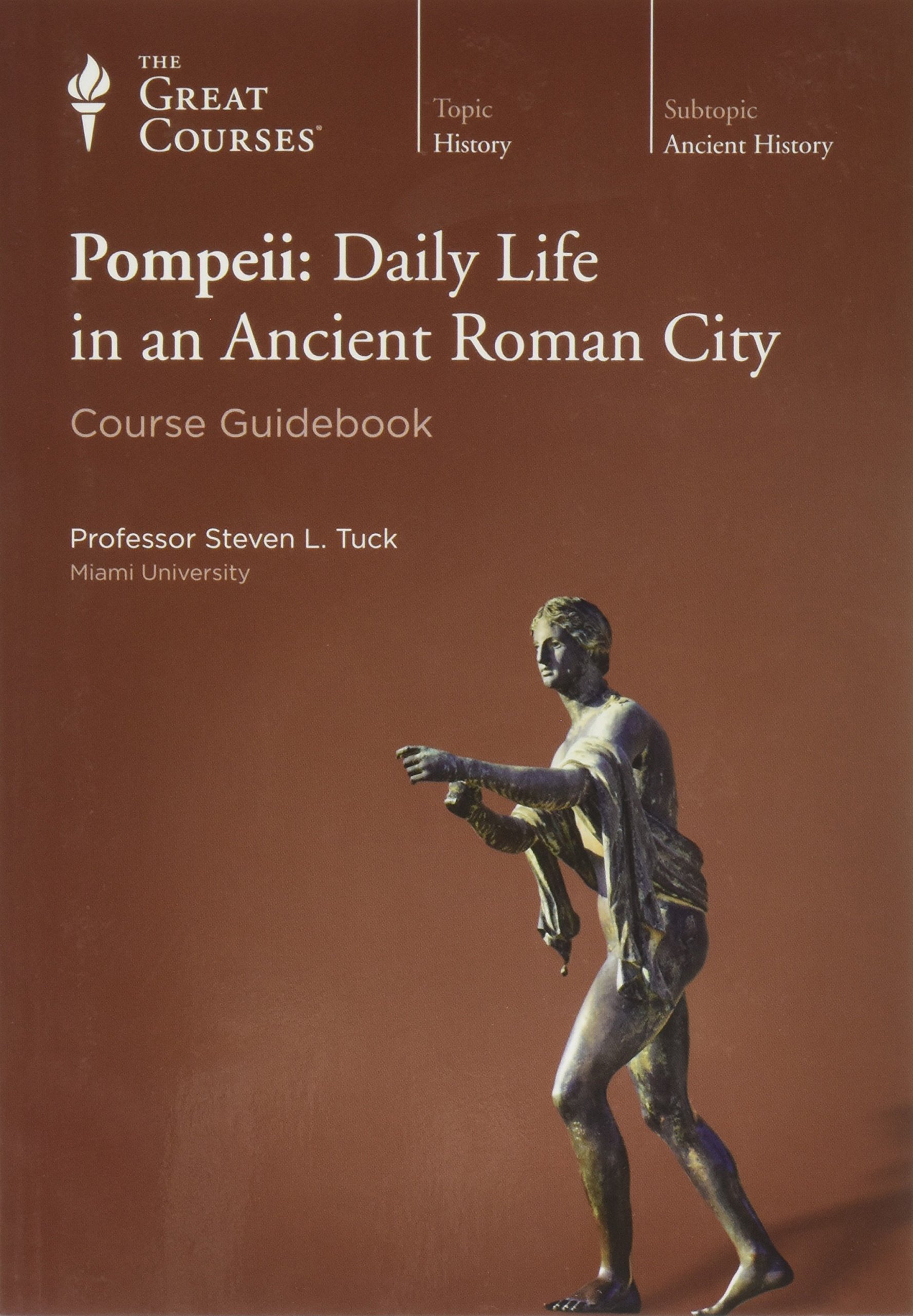 Pompeii: Daily Life in an Ancient Roman City by Steven L. Tuck | Goodreads
