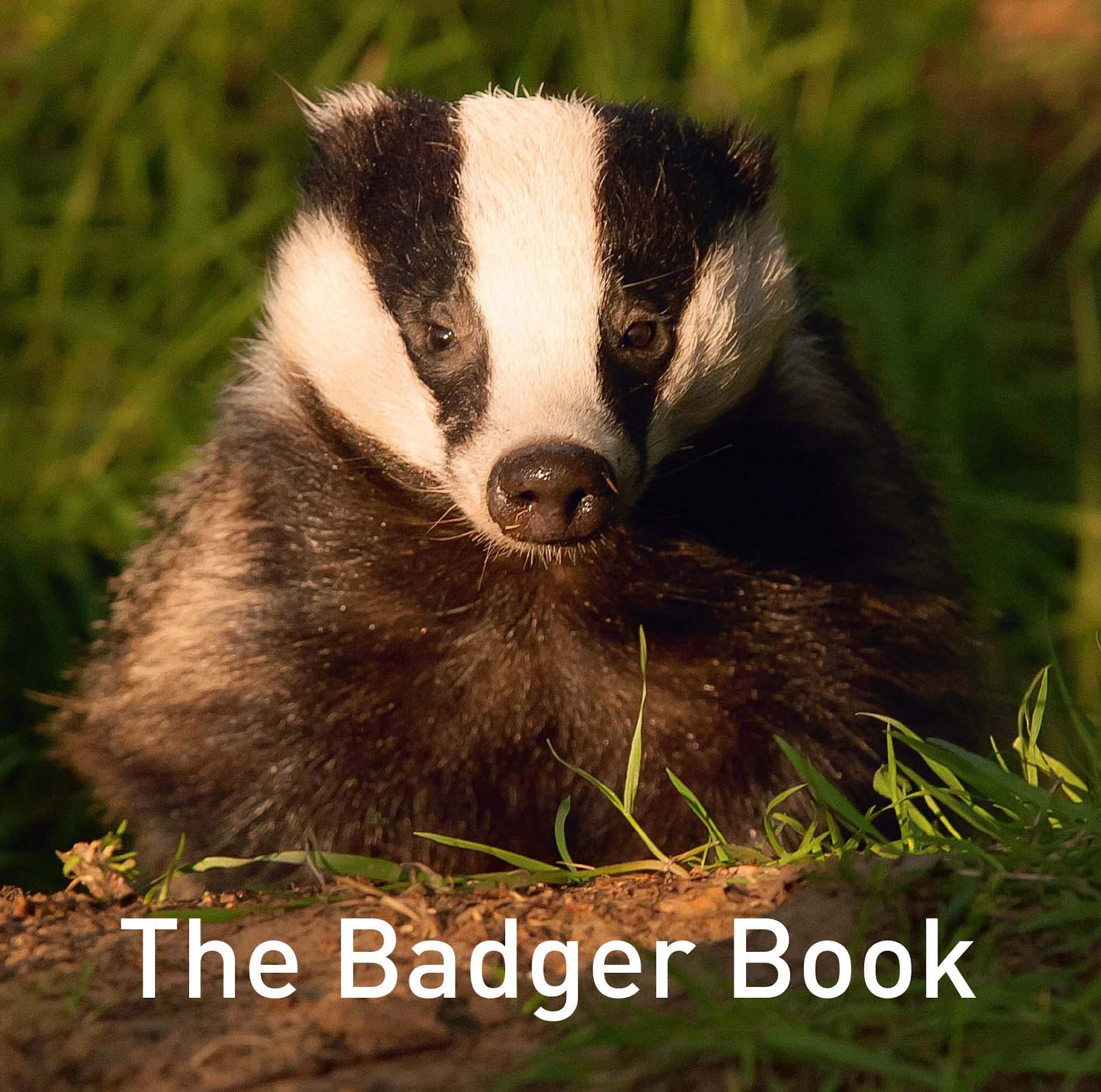 The Badger Book (The Nature Book Series 8) by Jo Byrne | Goodreads