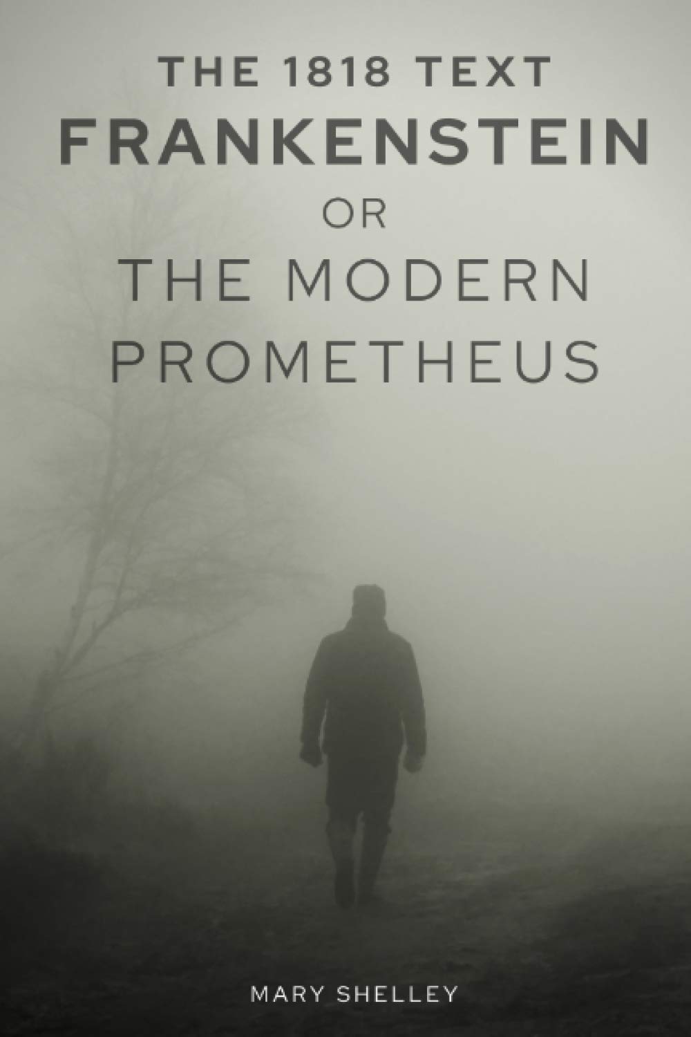 Frankenstein or The Modern Prometheus: 1818 Original Text Edition by Mary Wollstonecraft Shelley ...