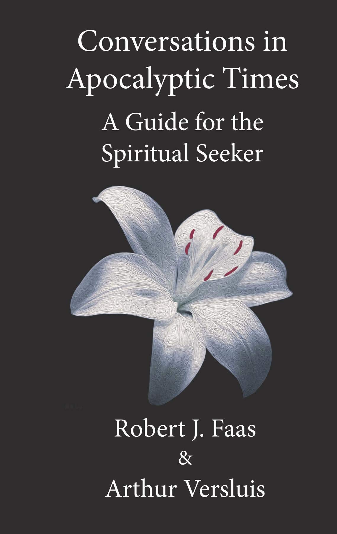 Conversations in Apocalyptic Times: A Guide for the Spiritual Seeker by ...