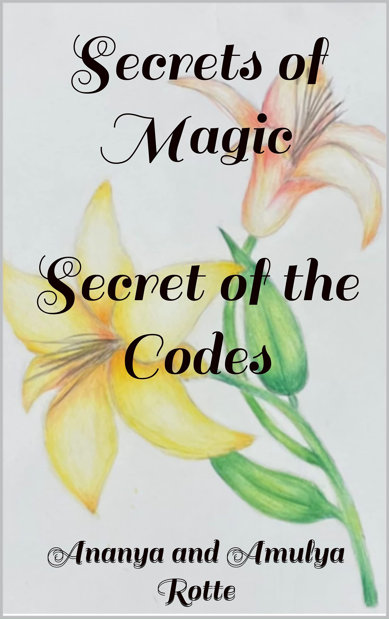 Secrets of Magic Secret of the Codes by Ananya and Amulya Rotte | Goodreads