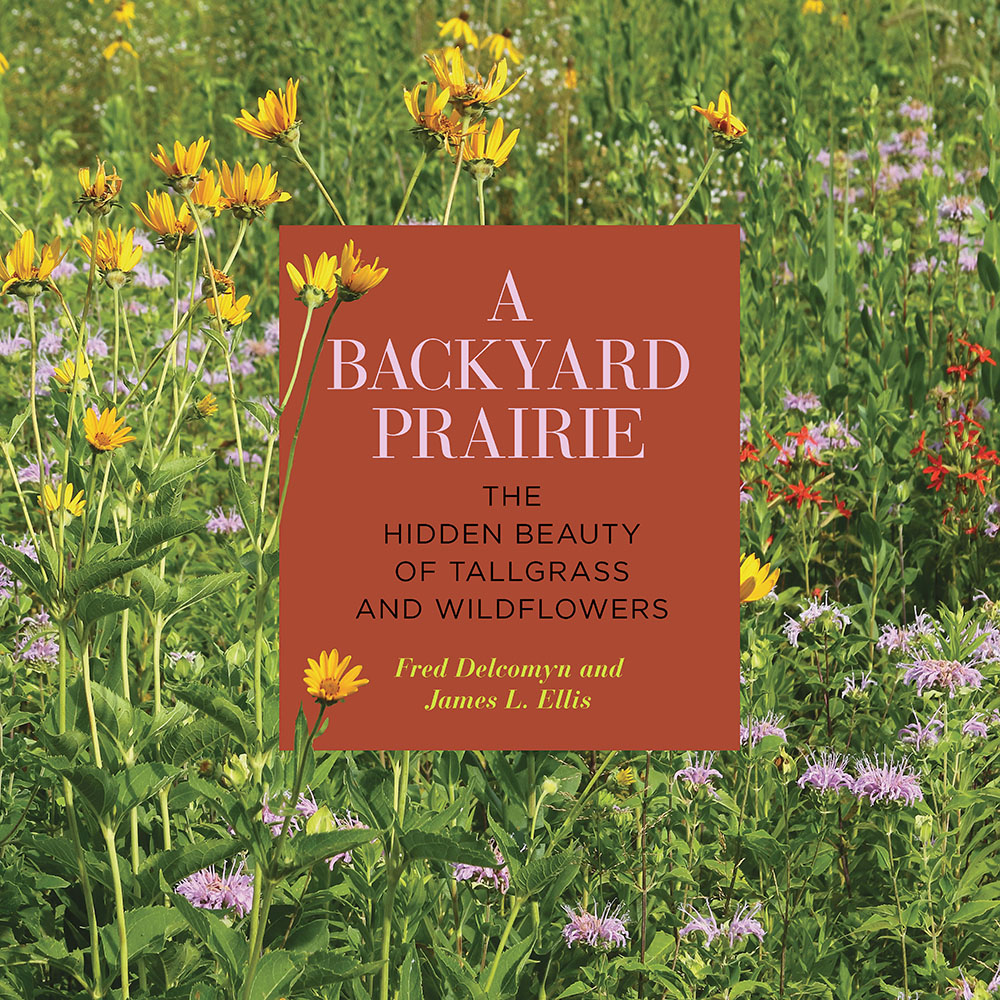 A Backyard Prairie: The Hidden Beauty of Tallgrass and Wildflowers by ...