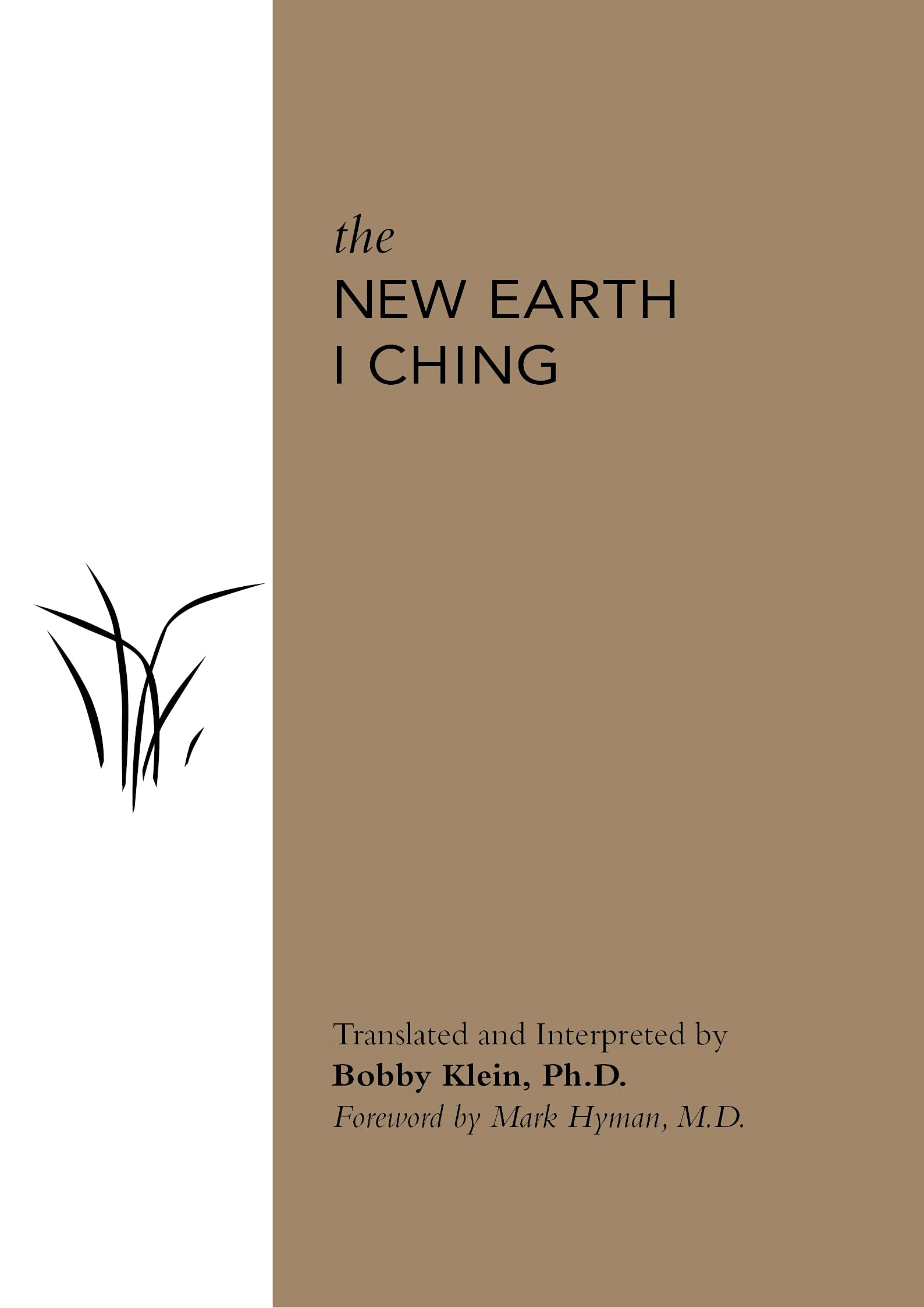 THE NEW EARTH I CHING by Bobby Klein | Goodreads