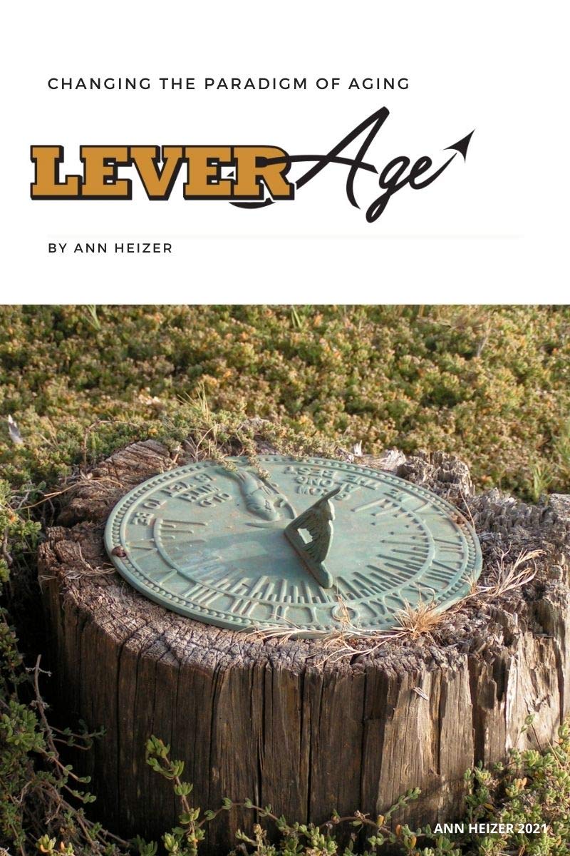 LeverAge: Changing the Paradigm of Aging by Ann Heizer | Goodreads
