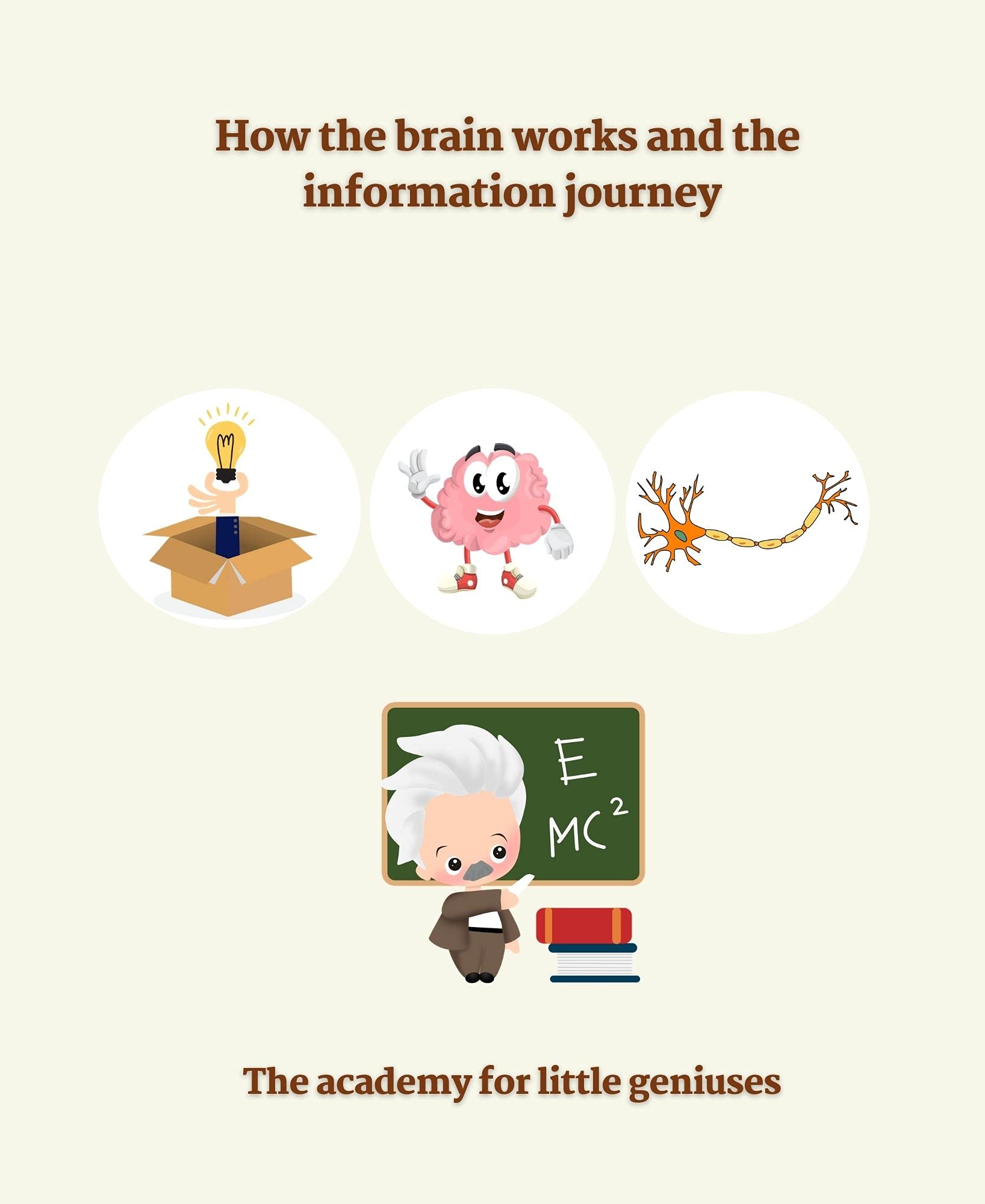 The academy for little geniuses: How the brain works and the ...