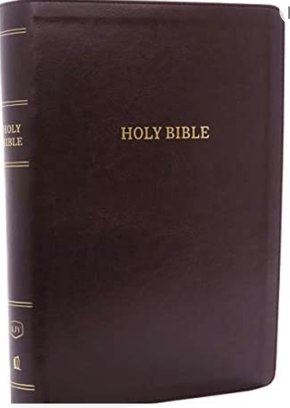 First Letter of John( 1 John) , KJV Super Giant Print Reference Bible ...