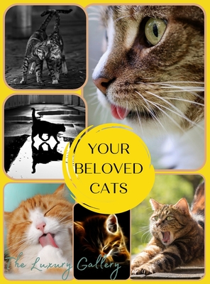 Your Beloved Cats: The Best Selection of 37 Cat Photos by Manhattan's ...