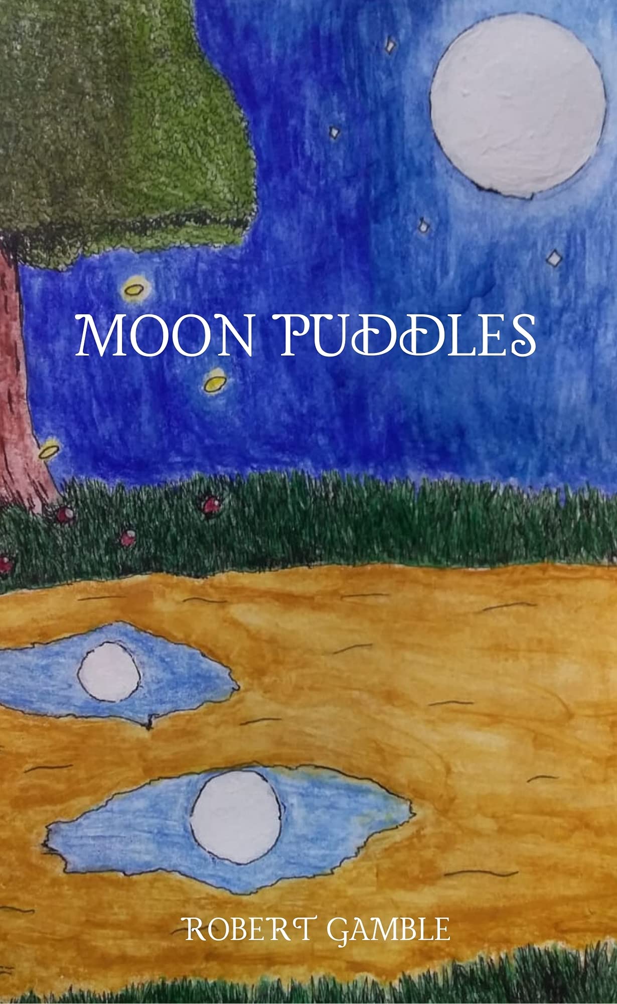 Moon Puddles by Robert Gamble | Goodreads