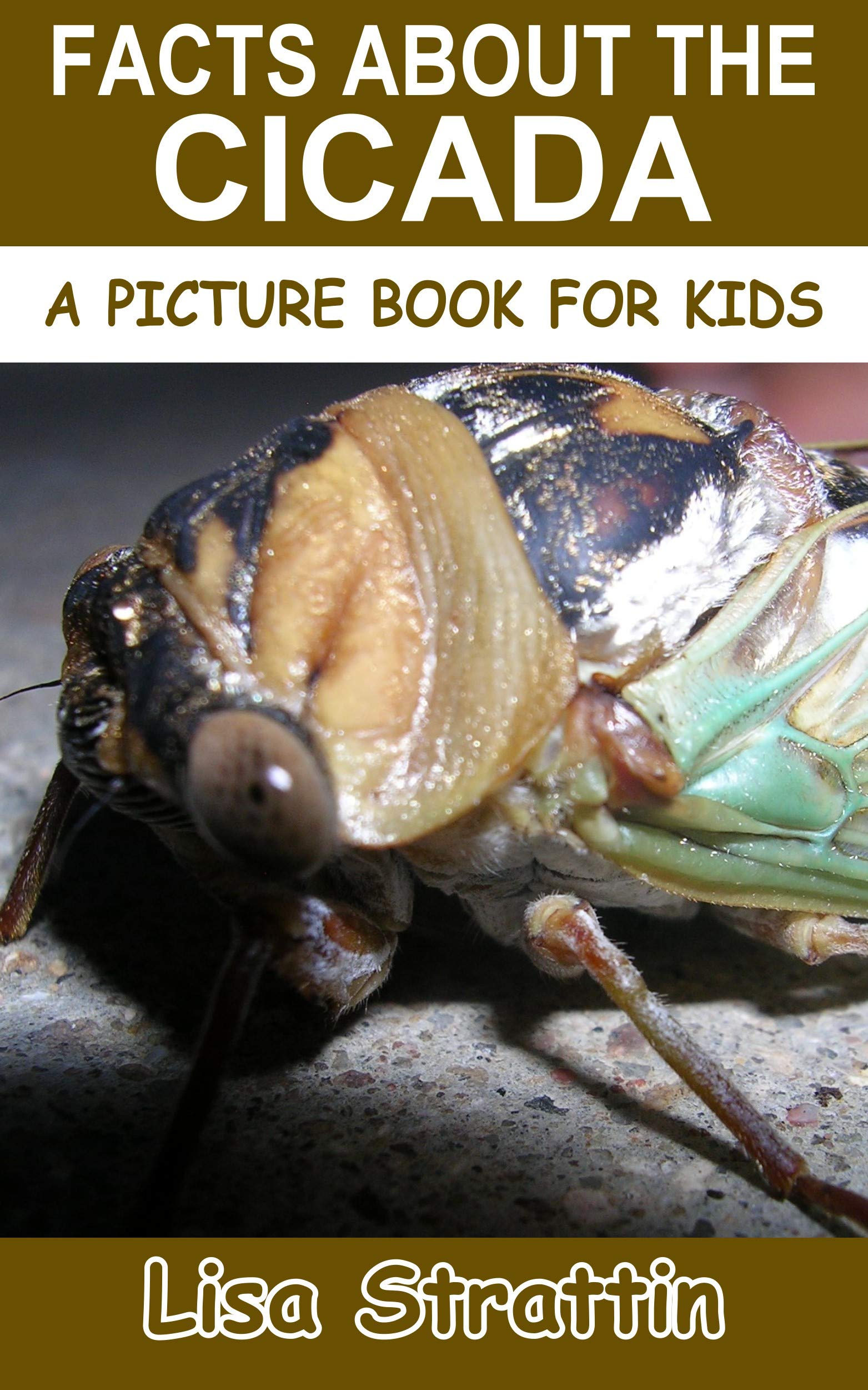 Facts About the Cicada (A Picture Book For Kids 408) by Lisa Strattin ...