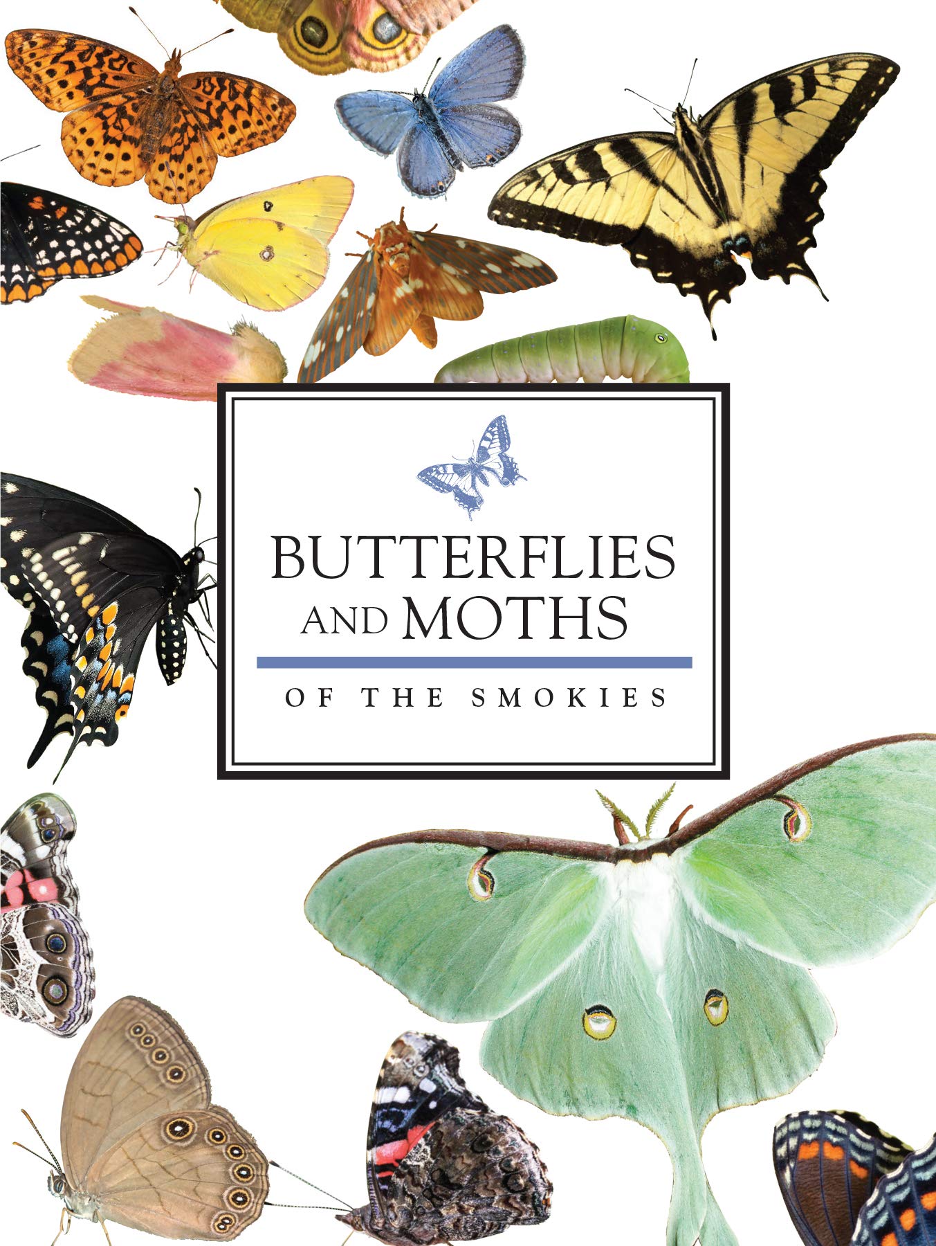 Butterflies and Moths of the Smokies Elizabeth, Smith, Charles R ...