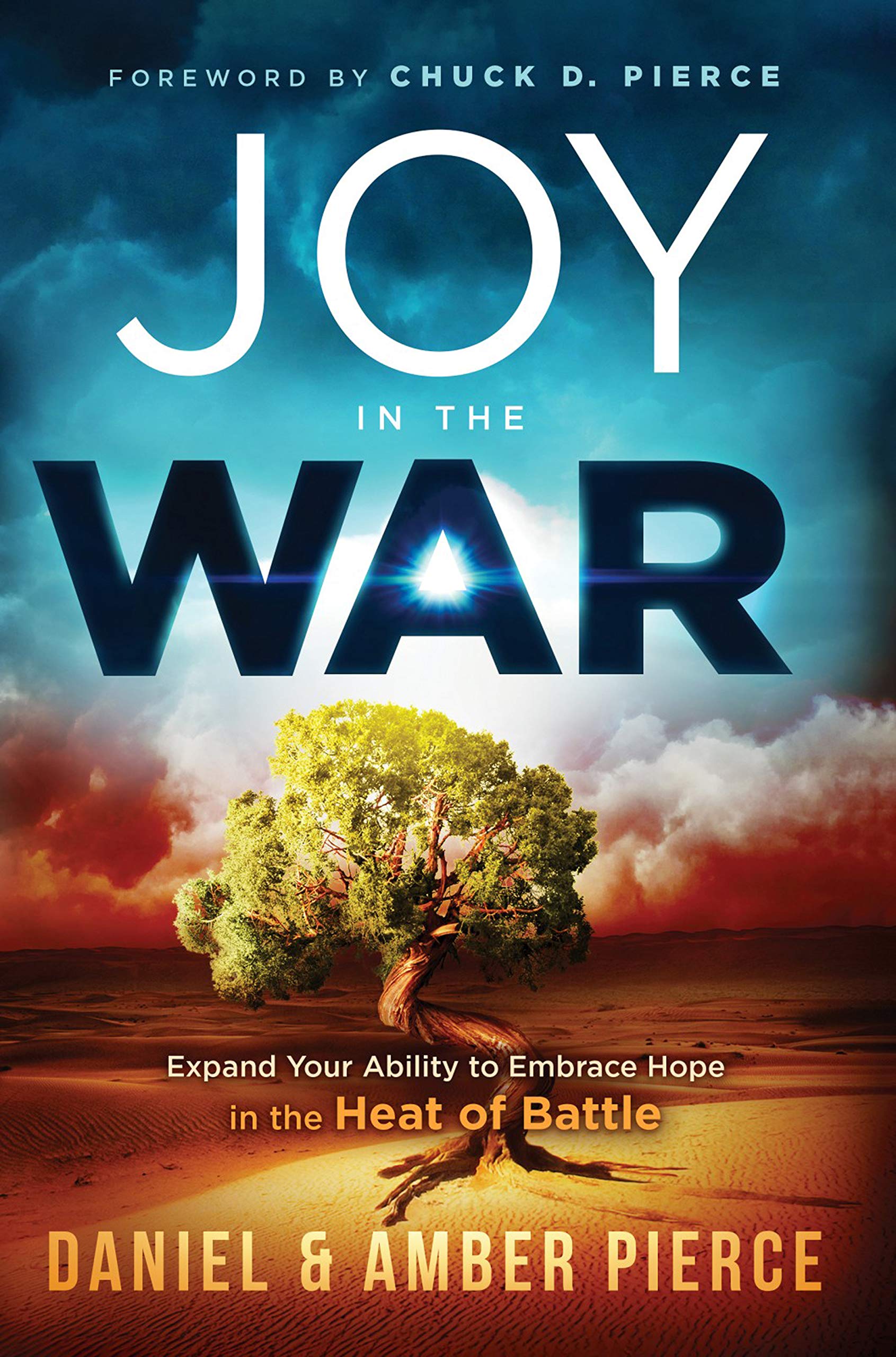 Joy In the War: Expand Your Ability to Embrace Hope in the Heat of ...