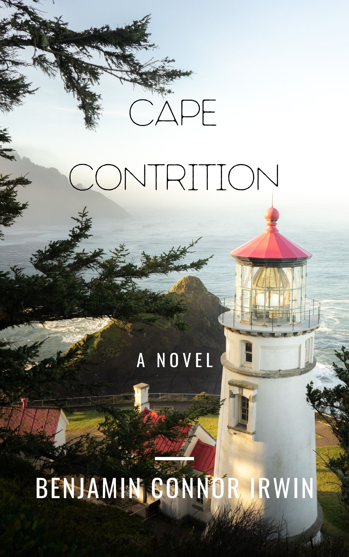 Cape Contrition by Benjamin Connor Irwin | Goodreads