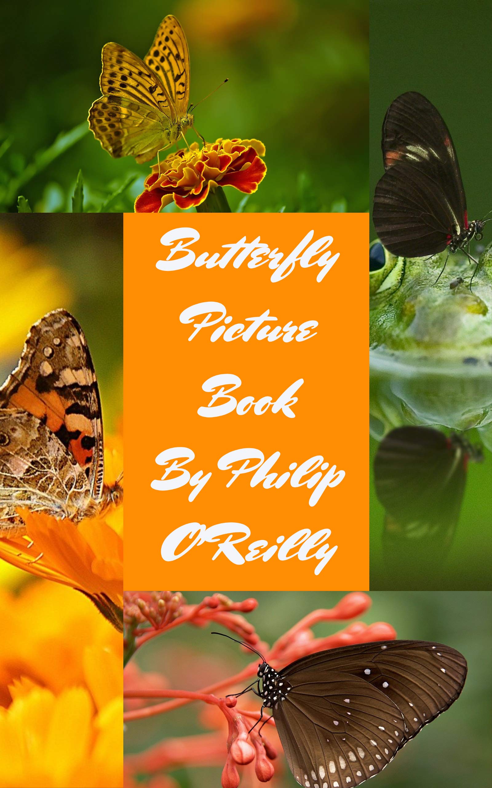 Butterfly Picture Book (Picture Book Series) by Philip O'Reilly | Goodreads