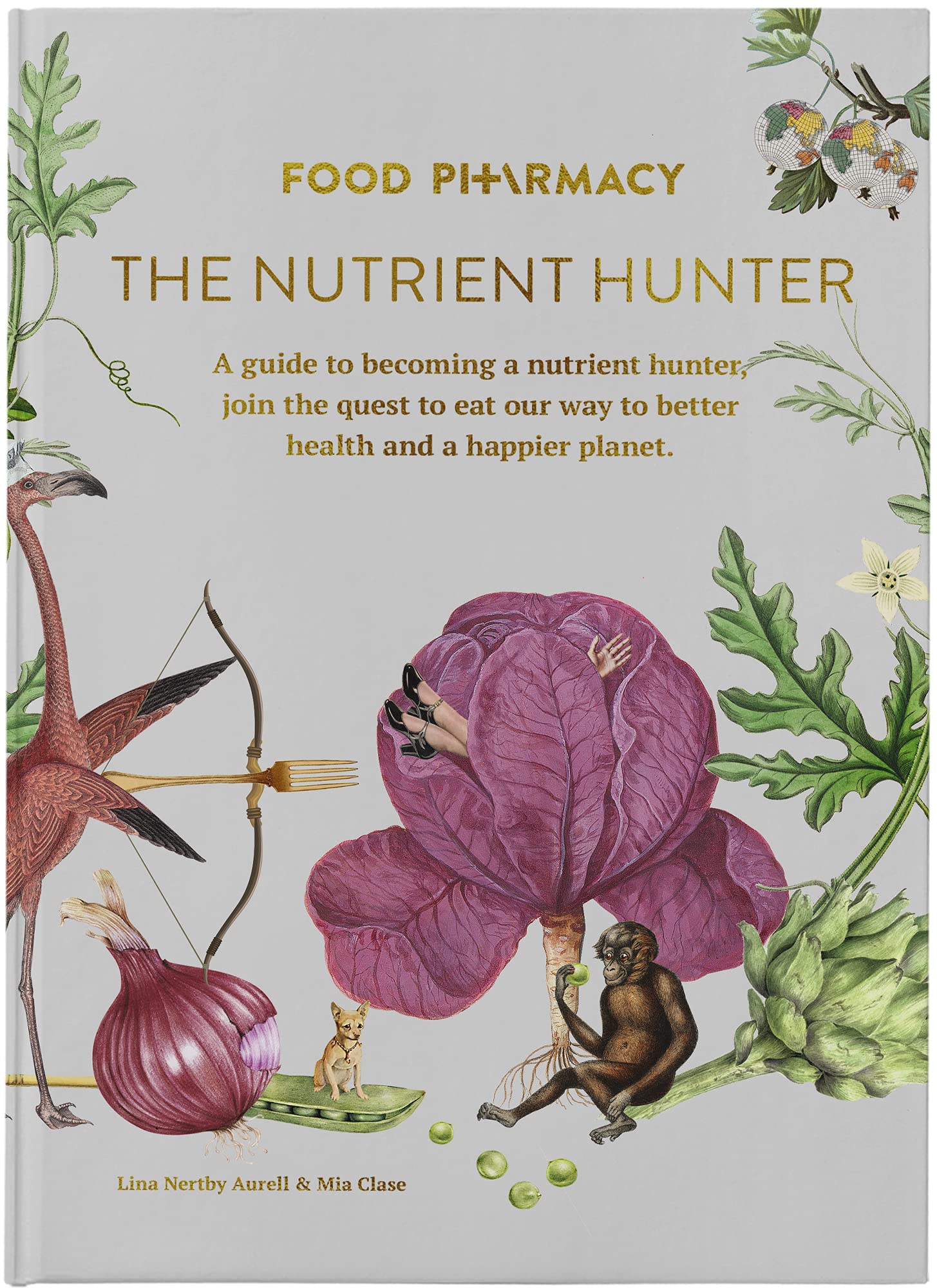 Food Pharmacy: The Nutrient Hunter: Anti-Inflammatory Food & Gut Health ...