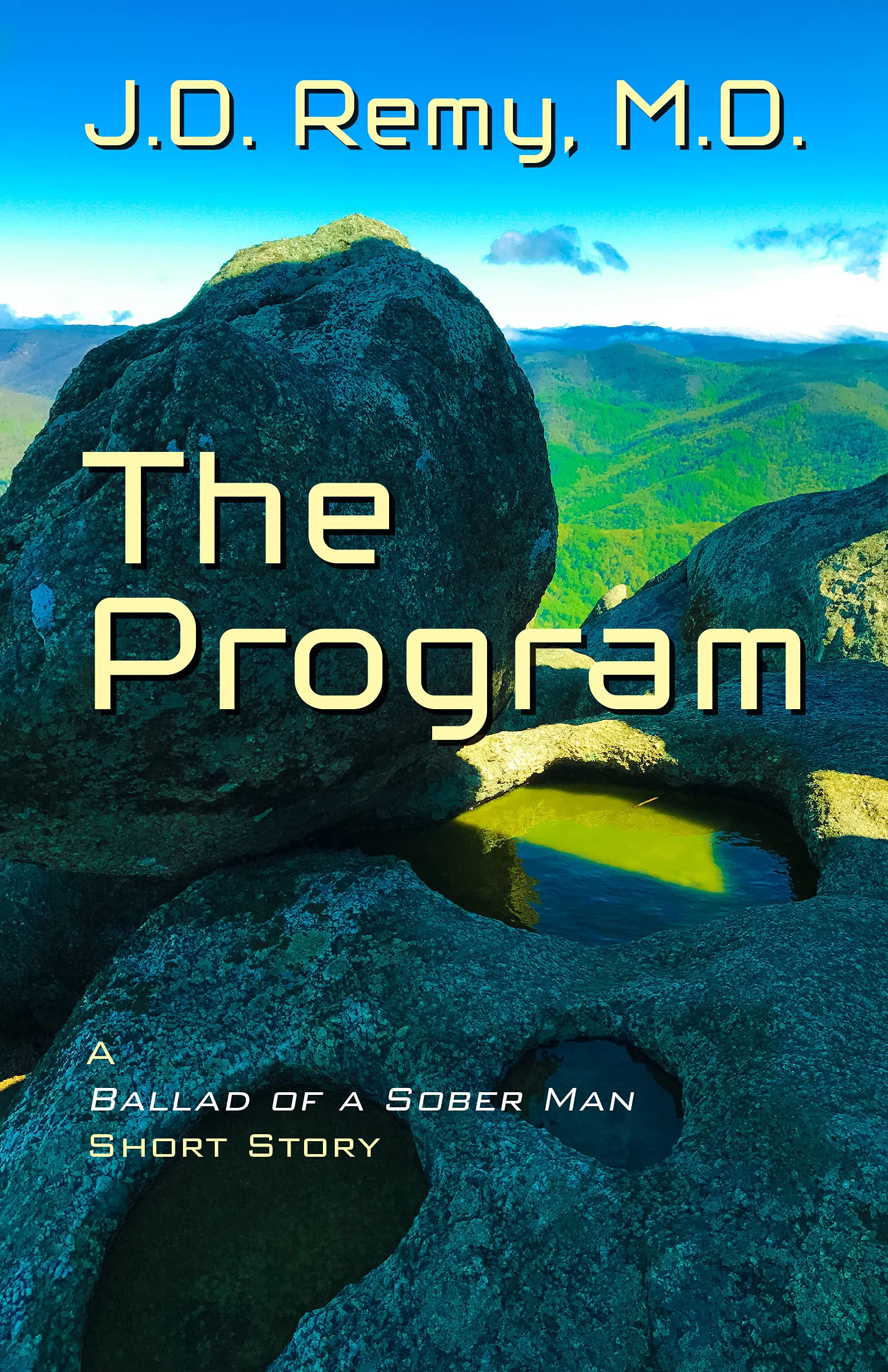 The Program: A Ballad of a Sober Man Short Story by J.D. Remy | Goodreads