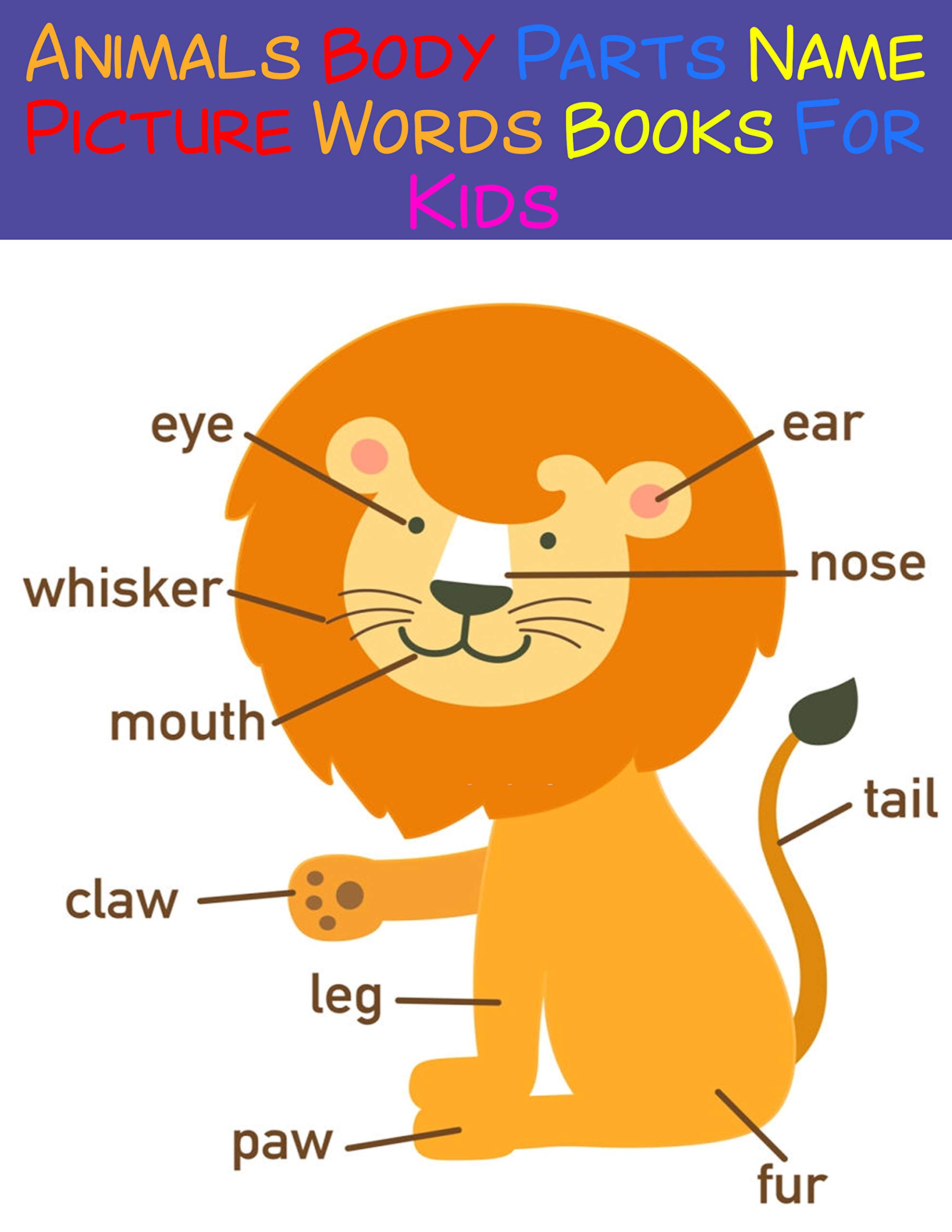 Body Parts Name With Picture For Kids