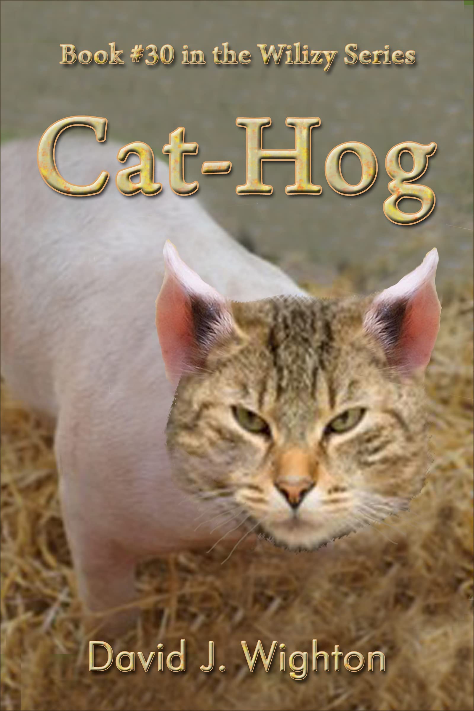 Cat-Hog (Wilizy Book 30) by David Wighton | Goodreads