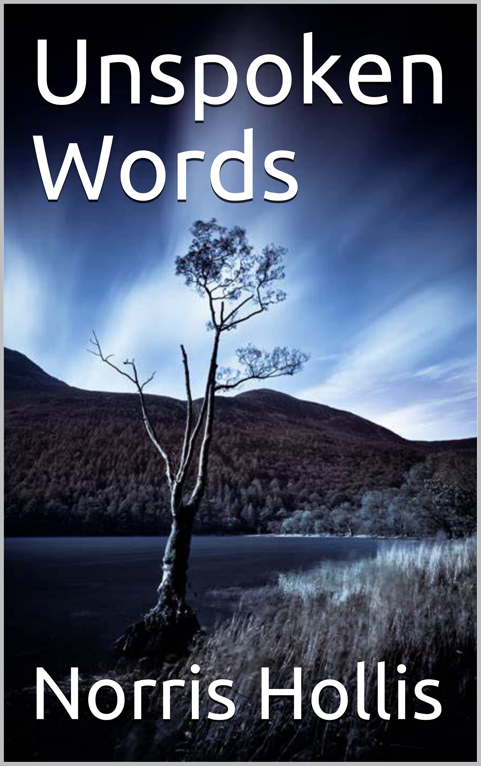 Unspoken Words by Norris Hollis | Goodreads