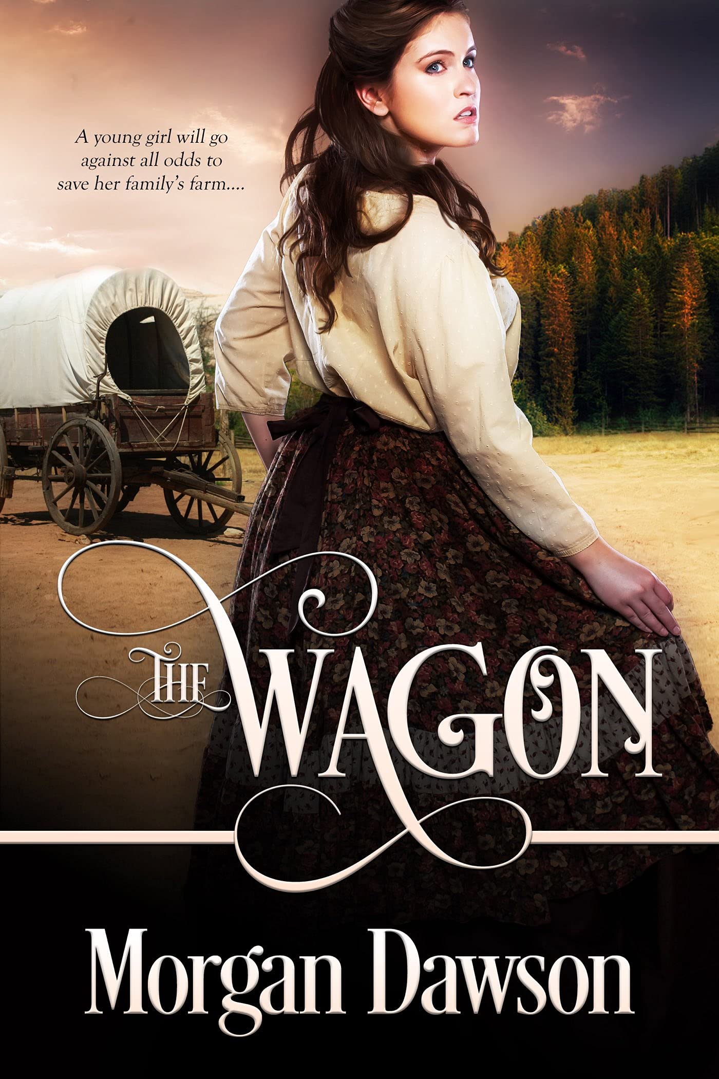The Wagon (Carter Sisters Series Book 1) by Morgan Dawson | Goodreads
