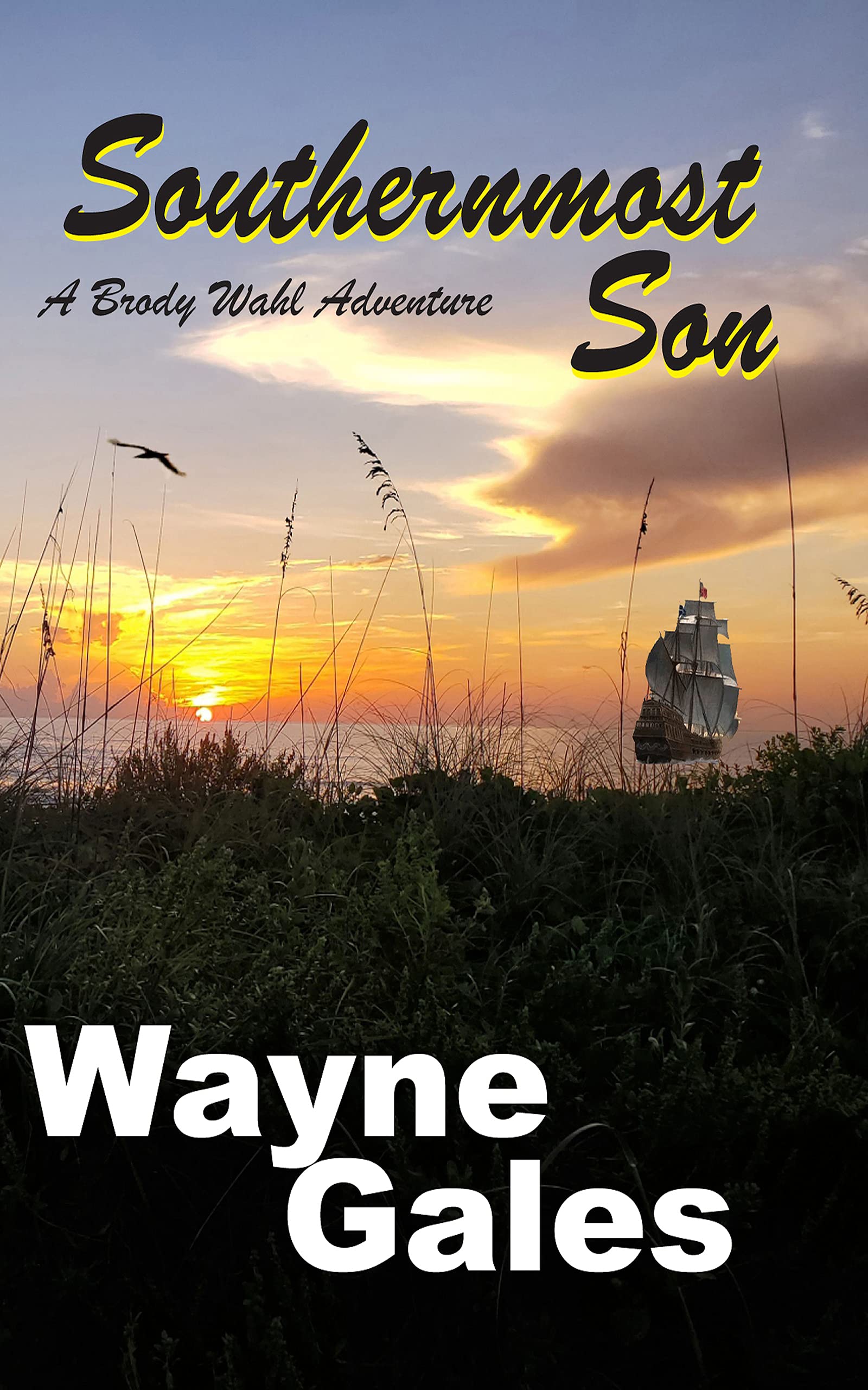 Southernmost Son: A Brody Wahl Adventure by Wayne Gales | Goodreads