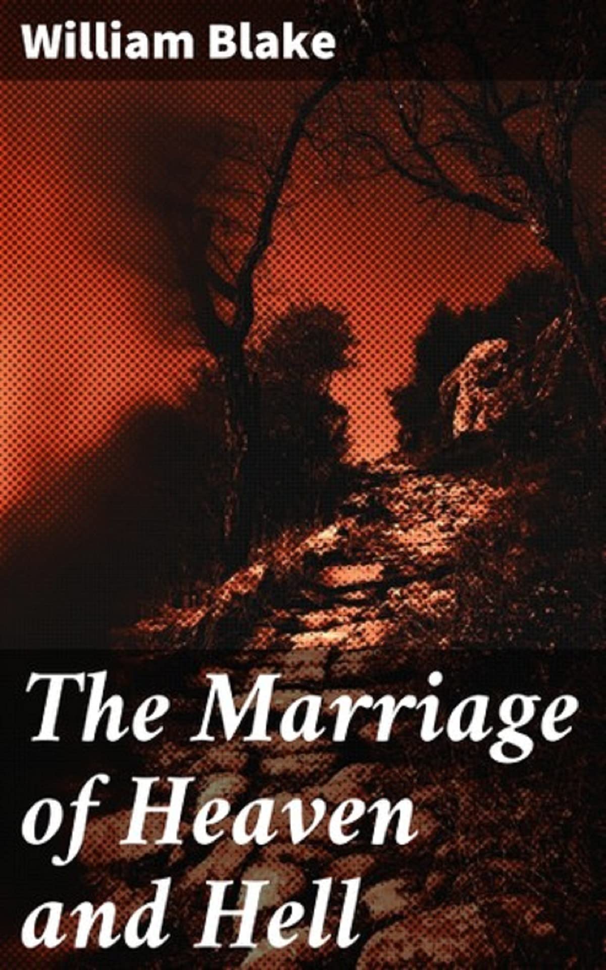 Marriage of Heaven and Hell :Illustrated Edition by William Blake ...