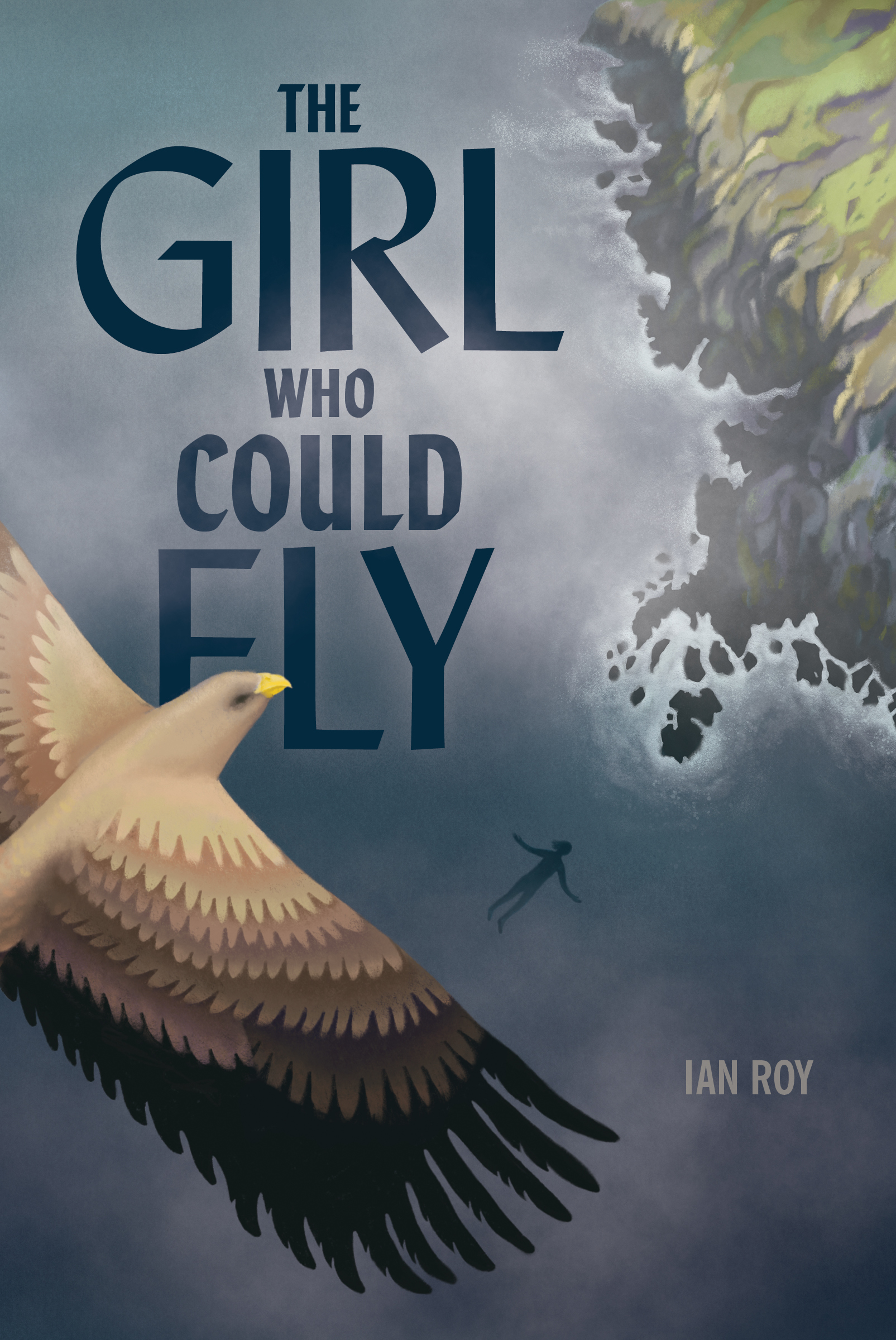 The Girl Who Could Fly by Ian Roy | Goodreads