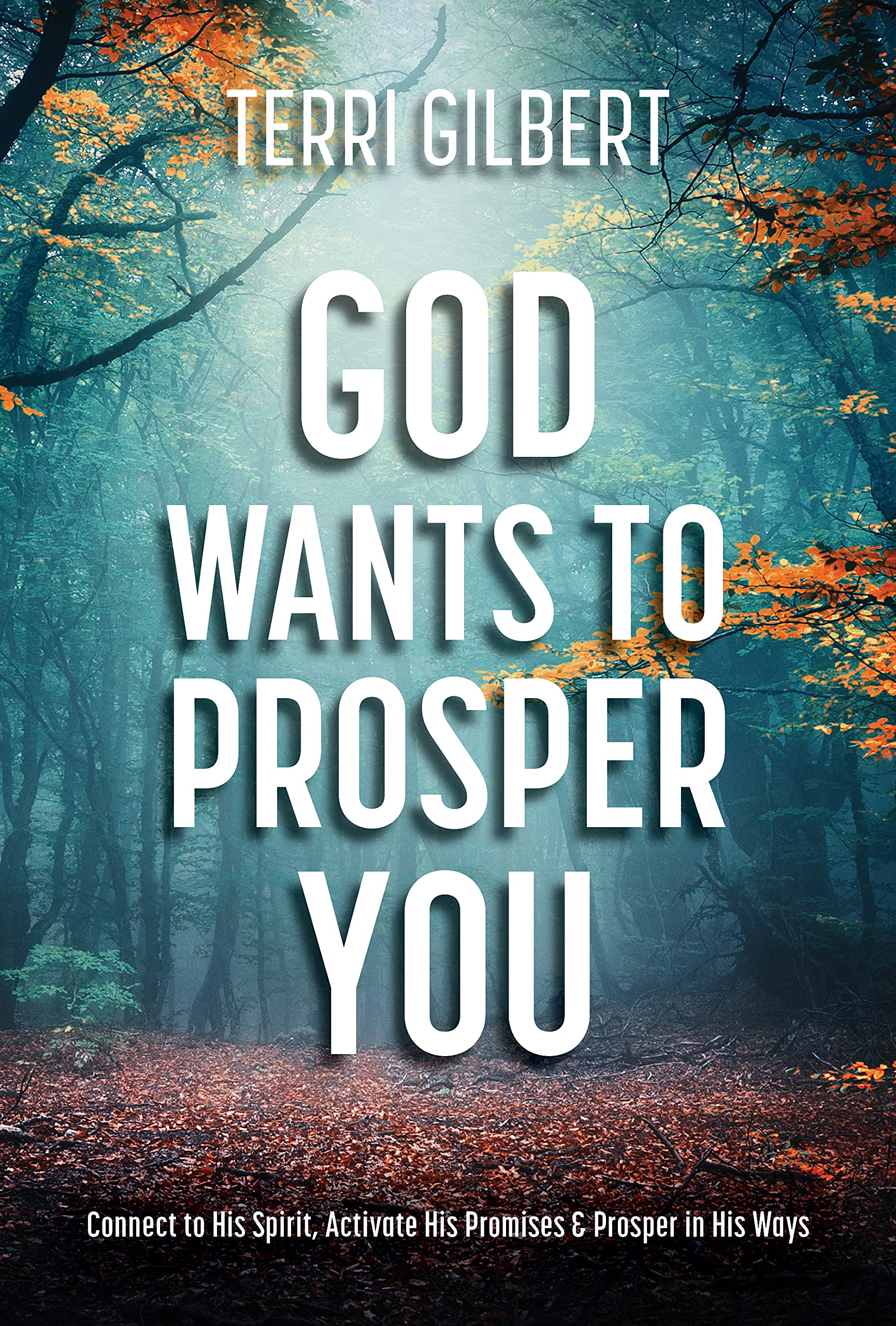 God Wants To Prosper You: Connect to His Spirit, Activate His Promises ...