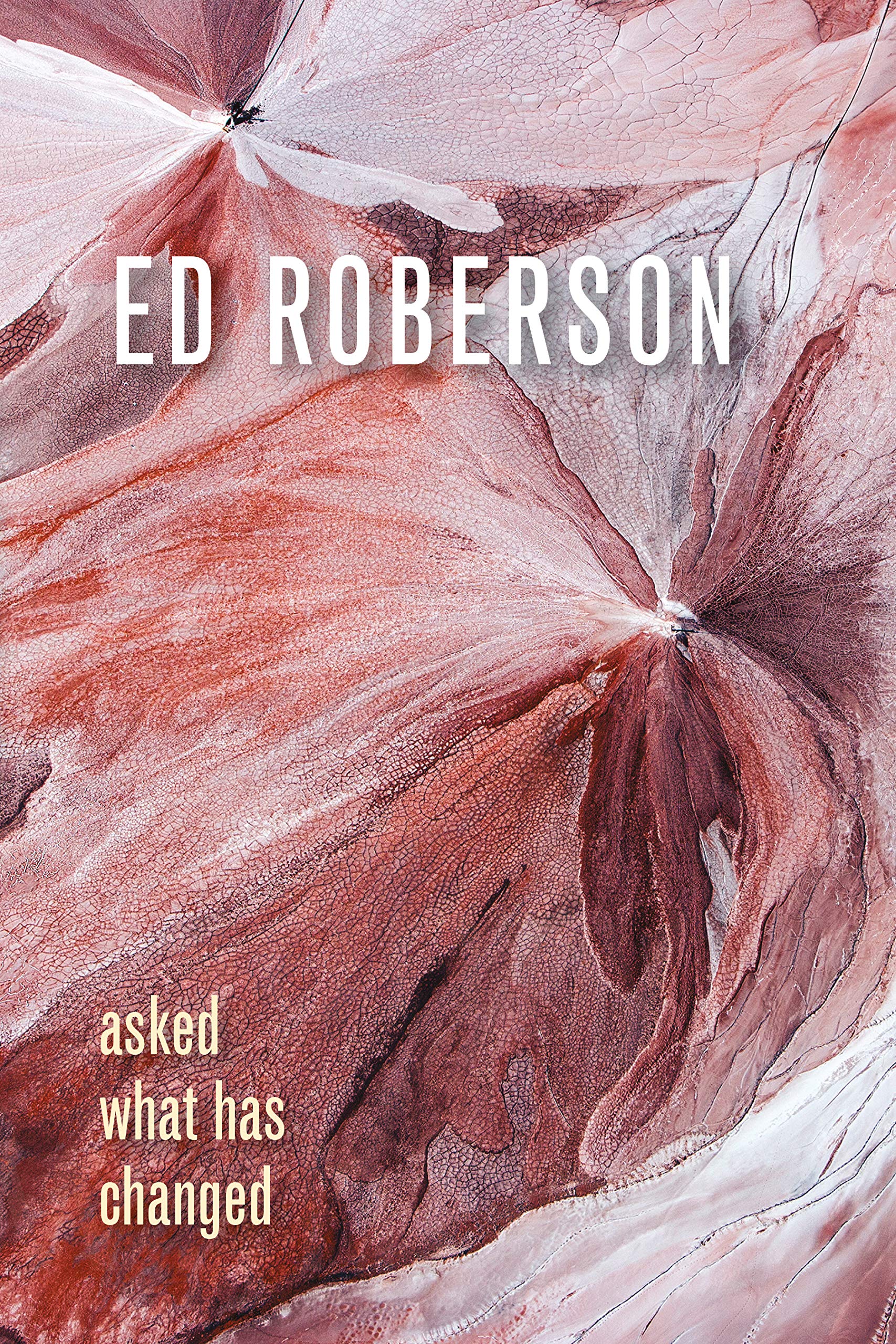 Asked What Has Changed (Wesleyan Poetry Series) by Ed Roberson | Goodreads