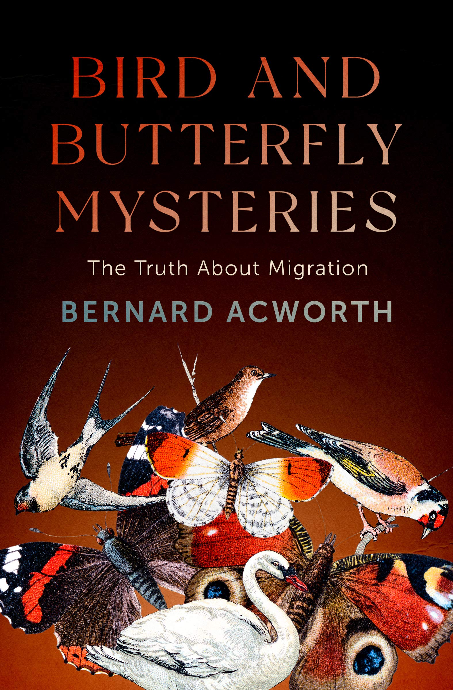 Bird and Butterfly Mysteries: The Truth About Migration by Bernard ...