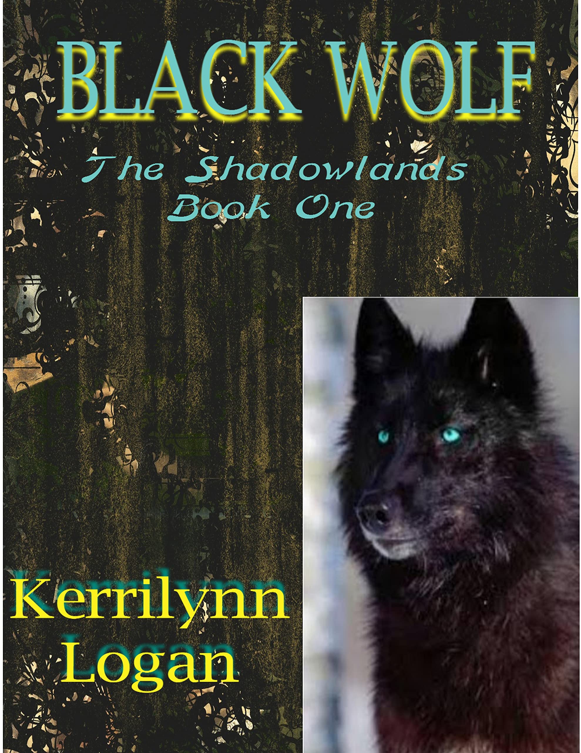 Black Wolf: The Shadowlands Book One by Kerrilynn Logan | Goodreads