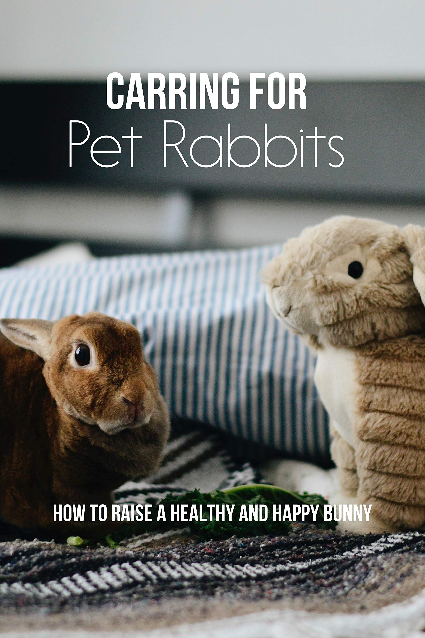 Caring For Pet Rabbits: How To Raise A Healthy And Happy Bunny: Pet ...