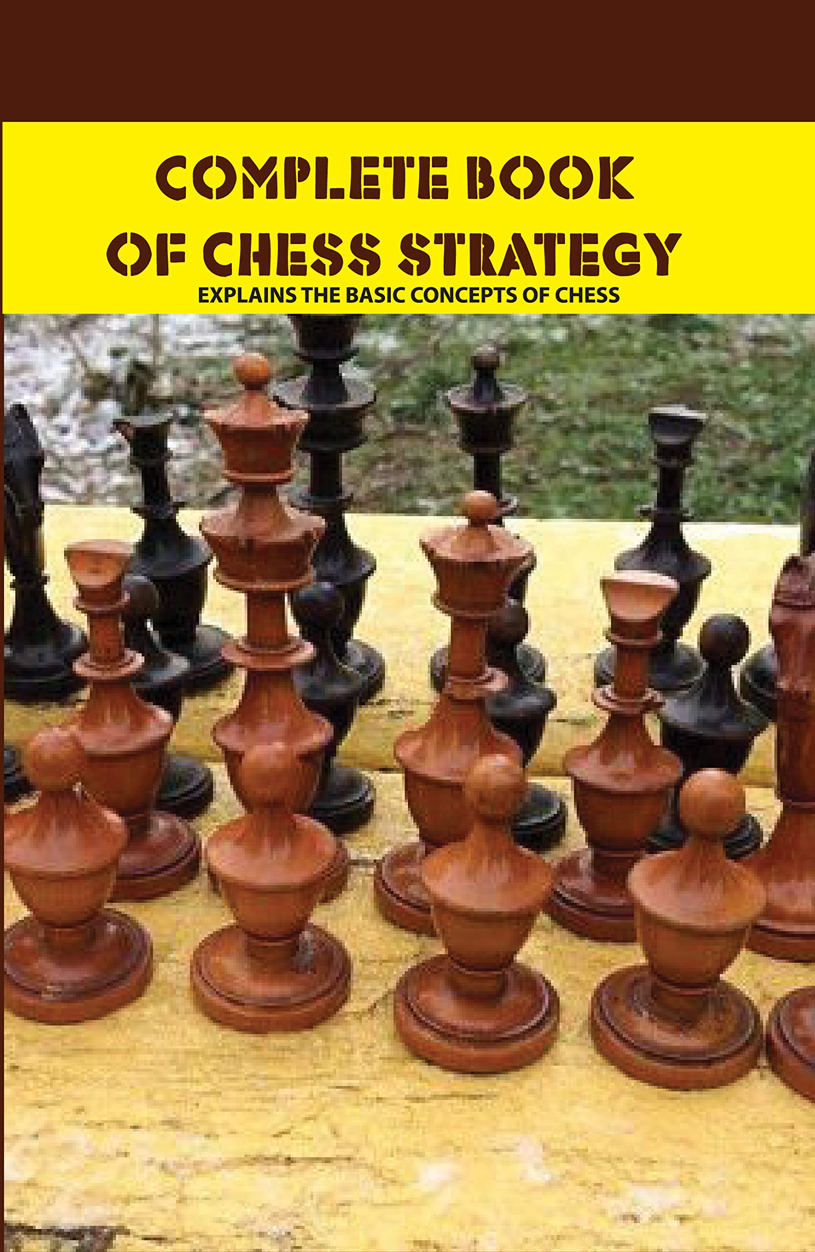 Complete Book Of Chess Strategy- Explains The Basic Concepts Of Chess ...