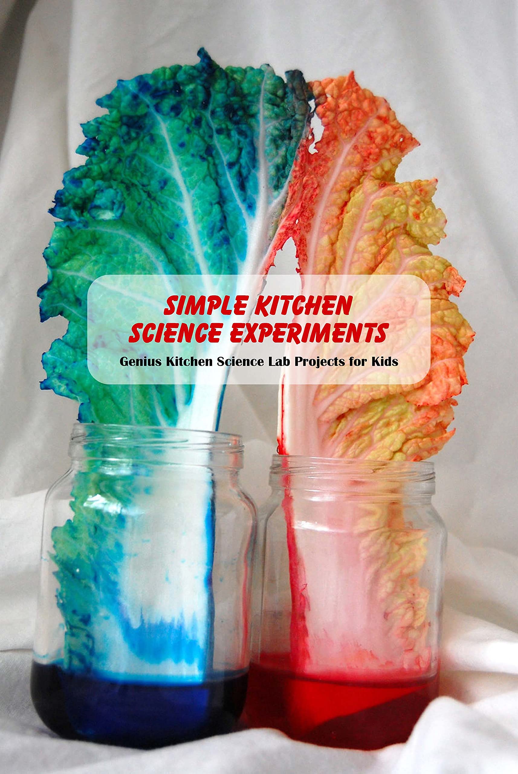 Simple Kitchen Science Experiments: Genius Kitchen Science Lab Projects ...