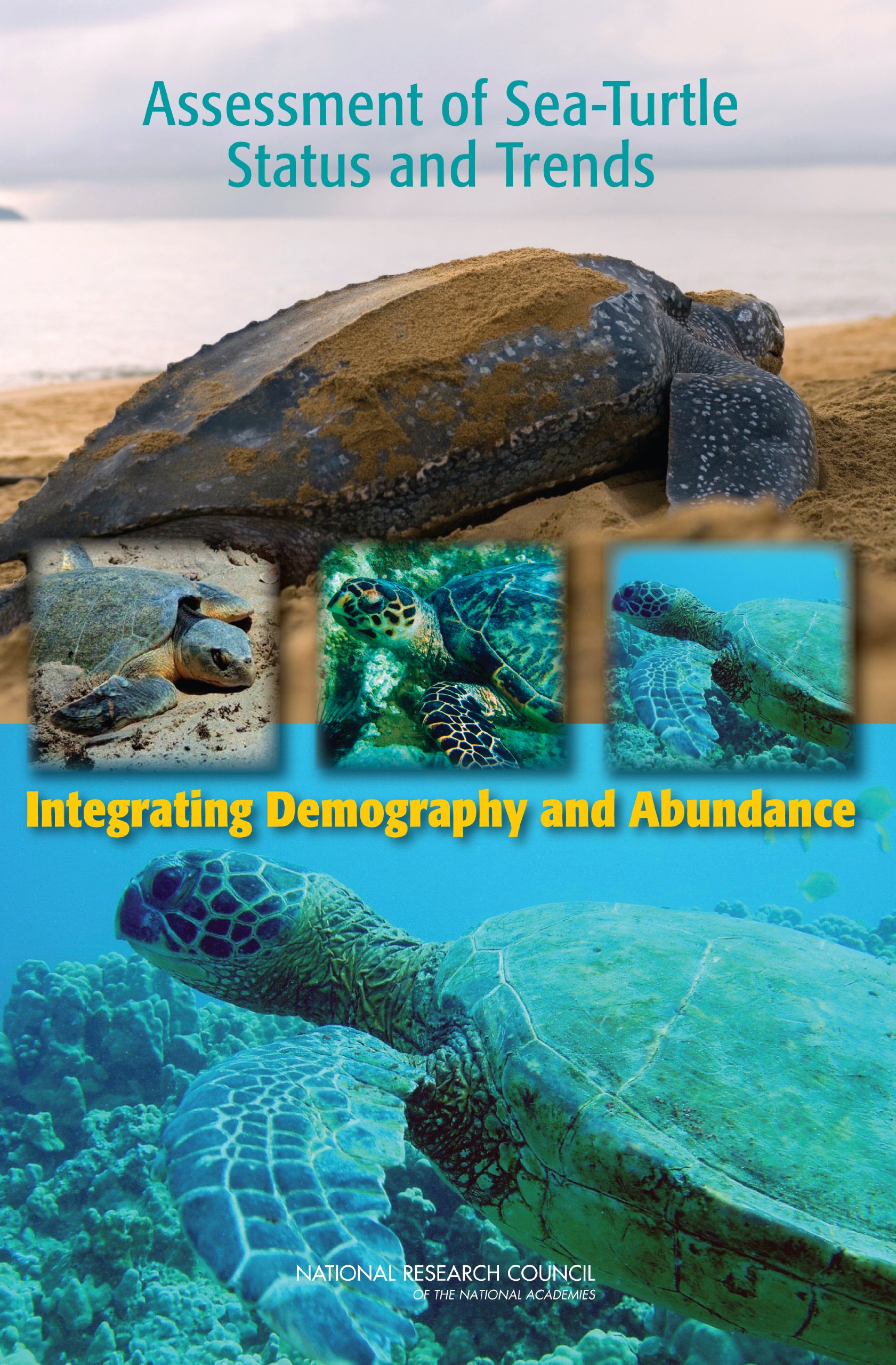 Assessment of Sea-Turtle Status and Trends: Integrating Demography and ...